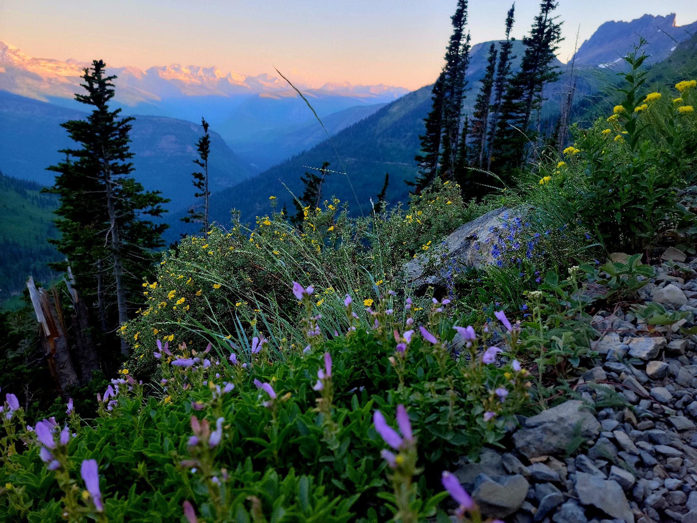 Highline Trail and Grinnell Overlook Trail, Glacier NP, Montana, USA | Scrolller