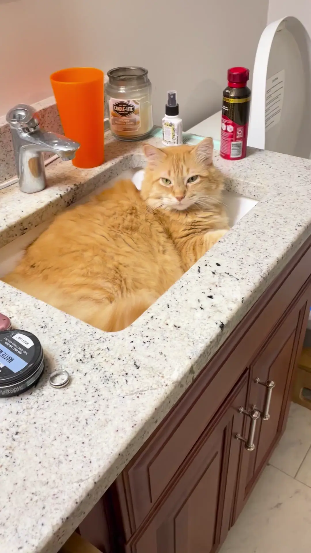 My 10 year old motorboat | Scrolller