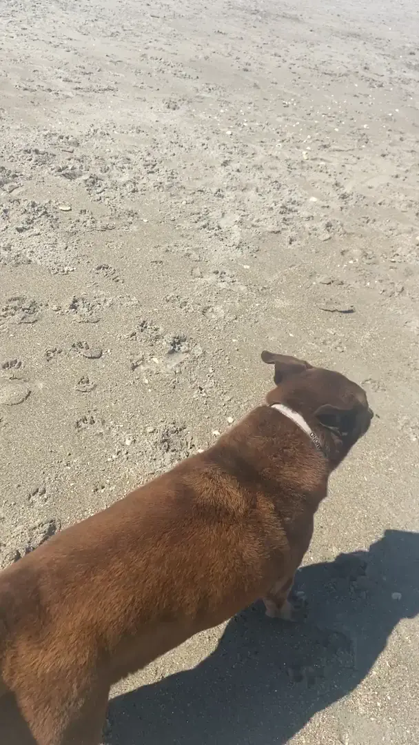 My 10 year olds first beach experience. | Scrolller