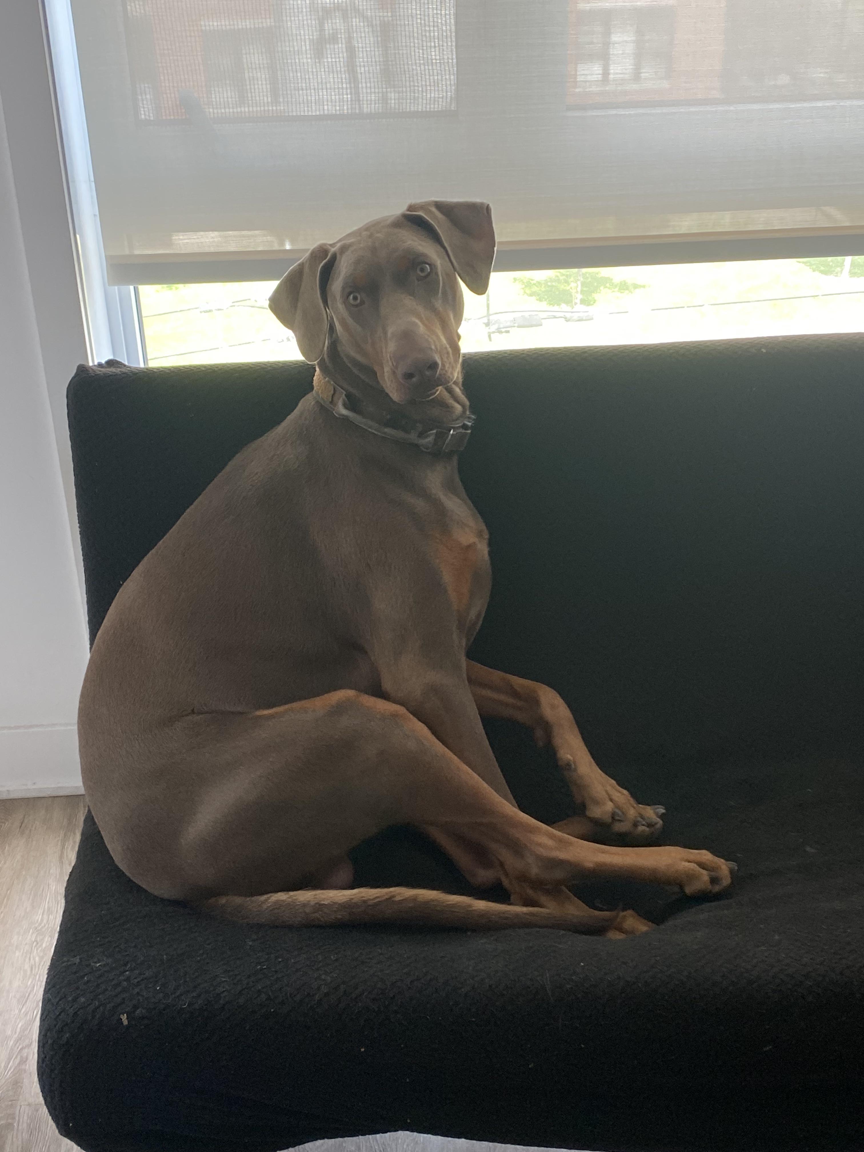 My big boy | Scrolller