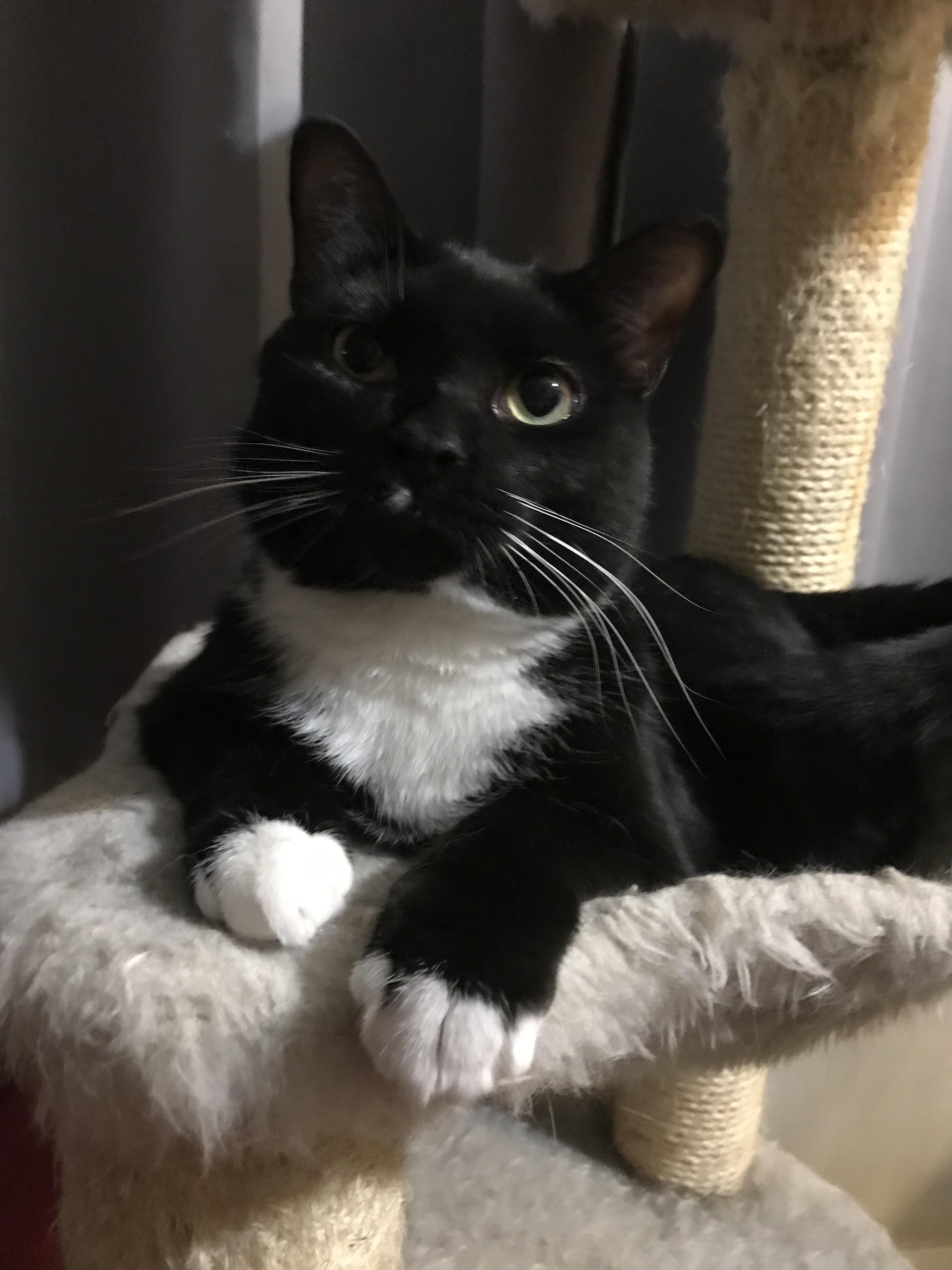 My handsome grandson | Scrolller