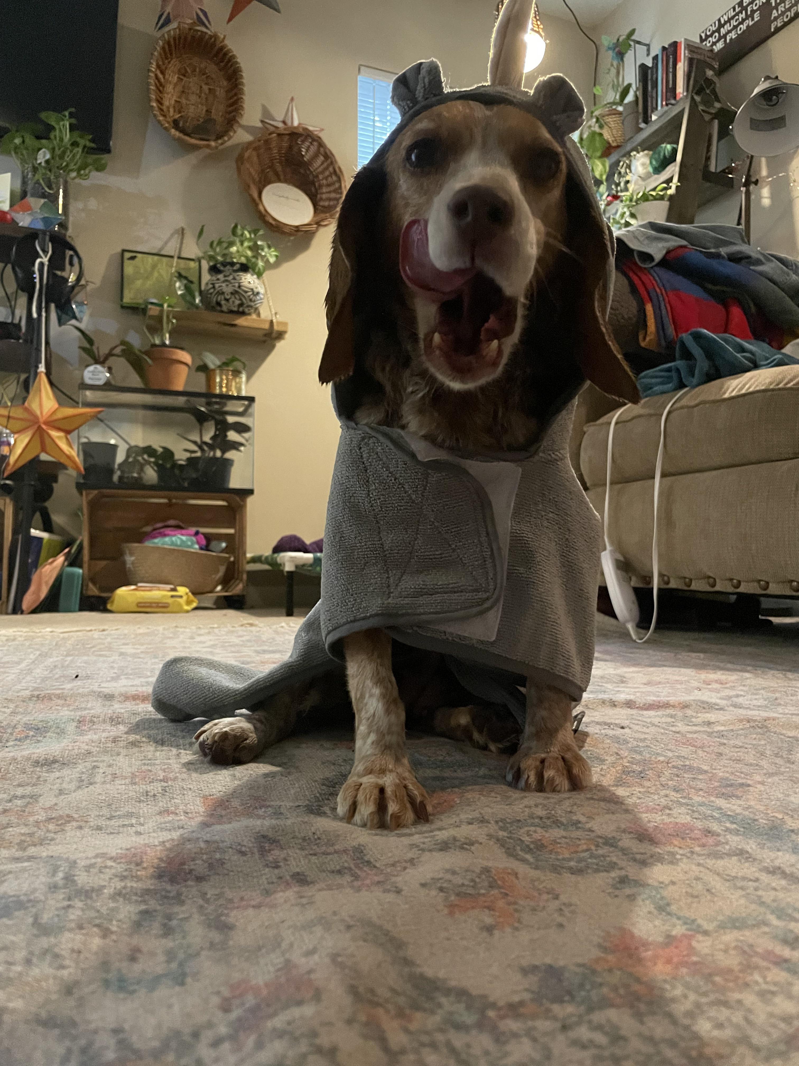 My happy little bean. | Scrolller