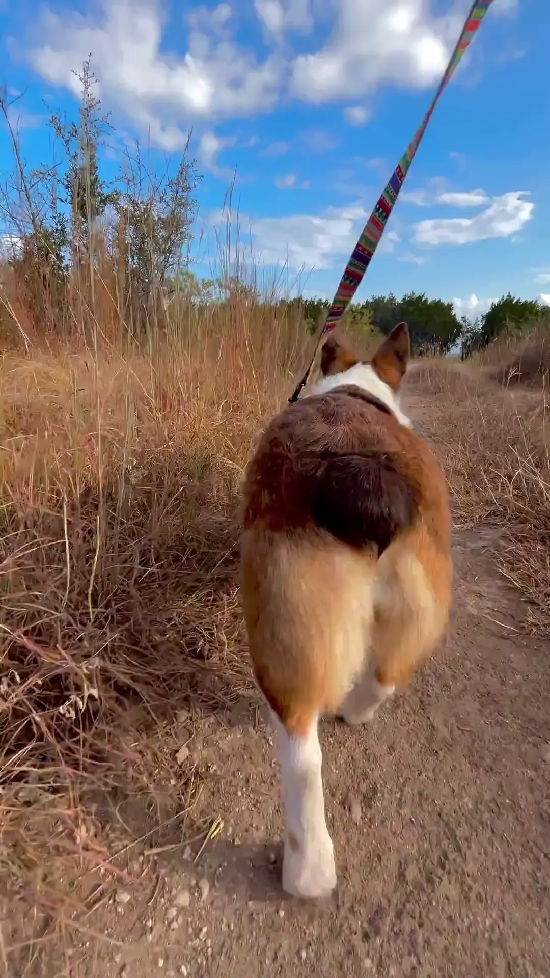 My loaf is a hunter | Scrolller