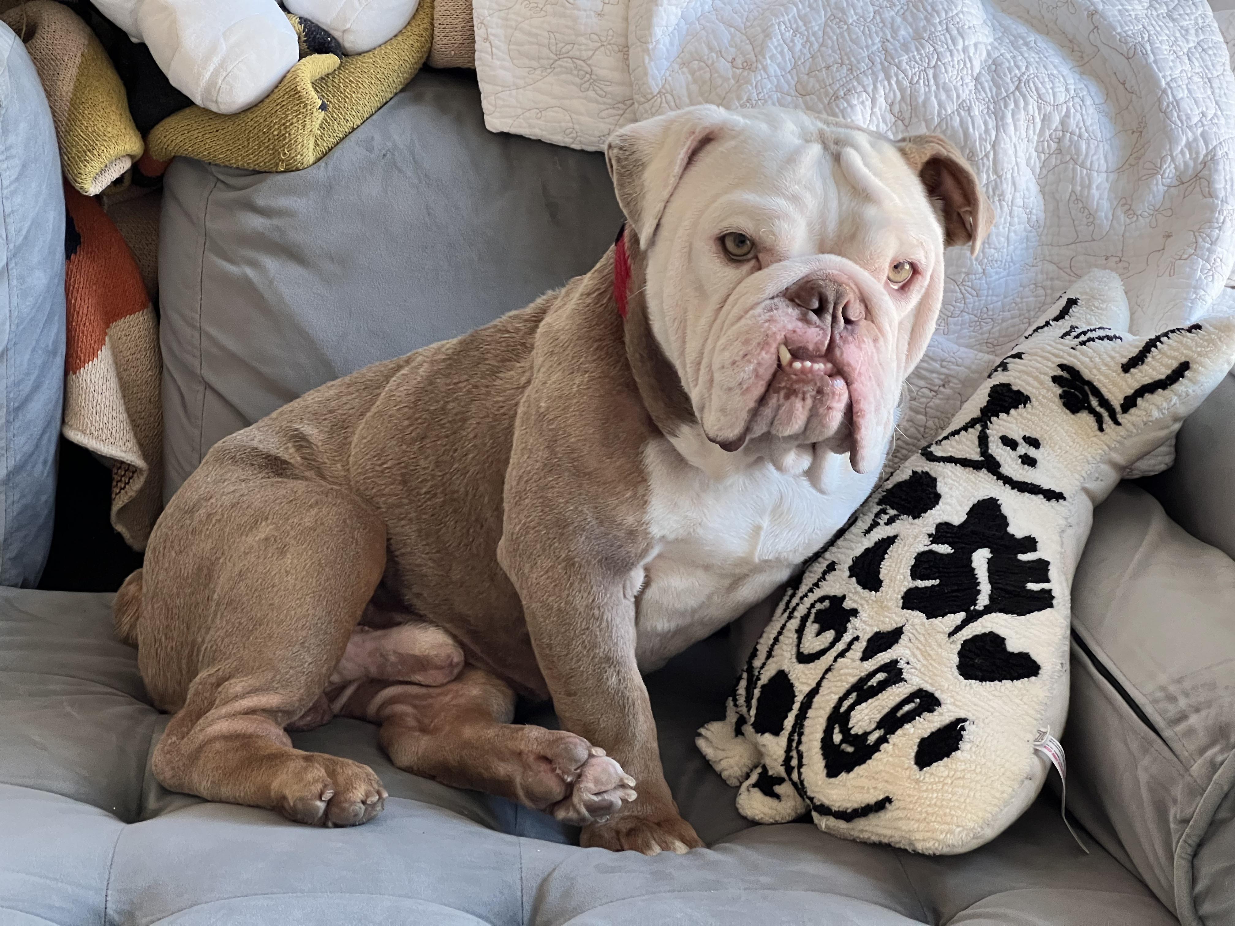 My newly adopted son, Jerry | Scrolller