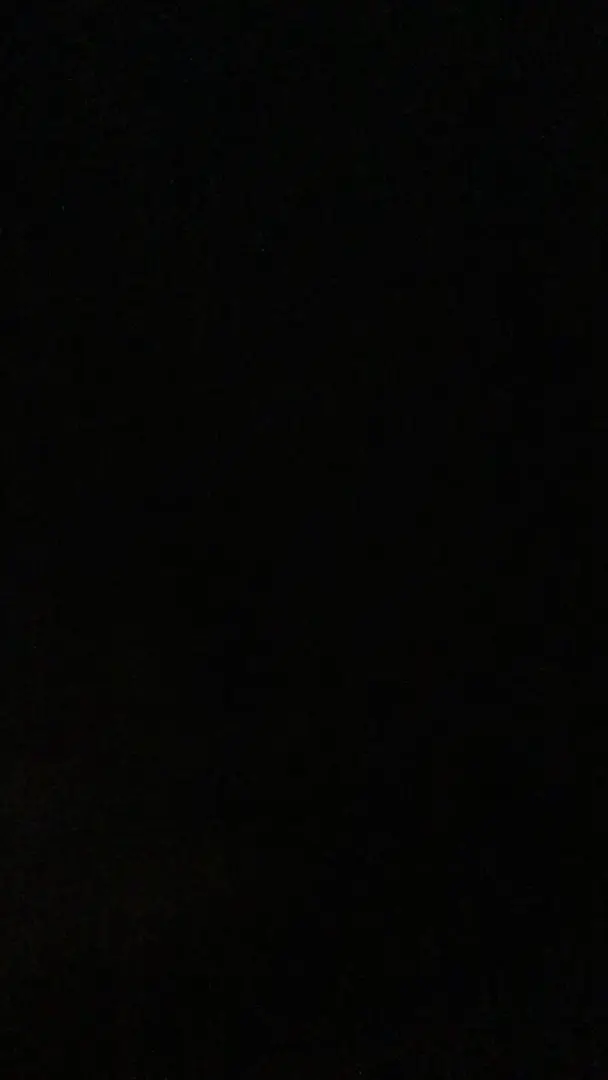 My pup Marley welcoming me home from work. | Scrolller