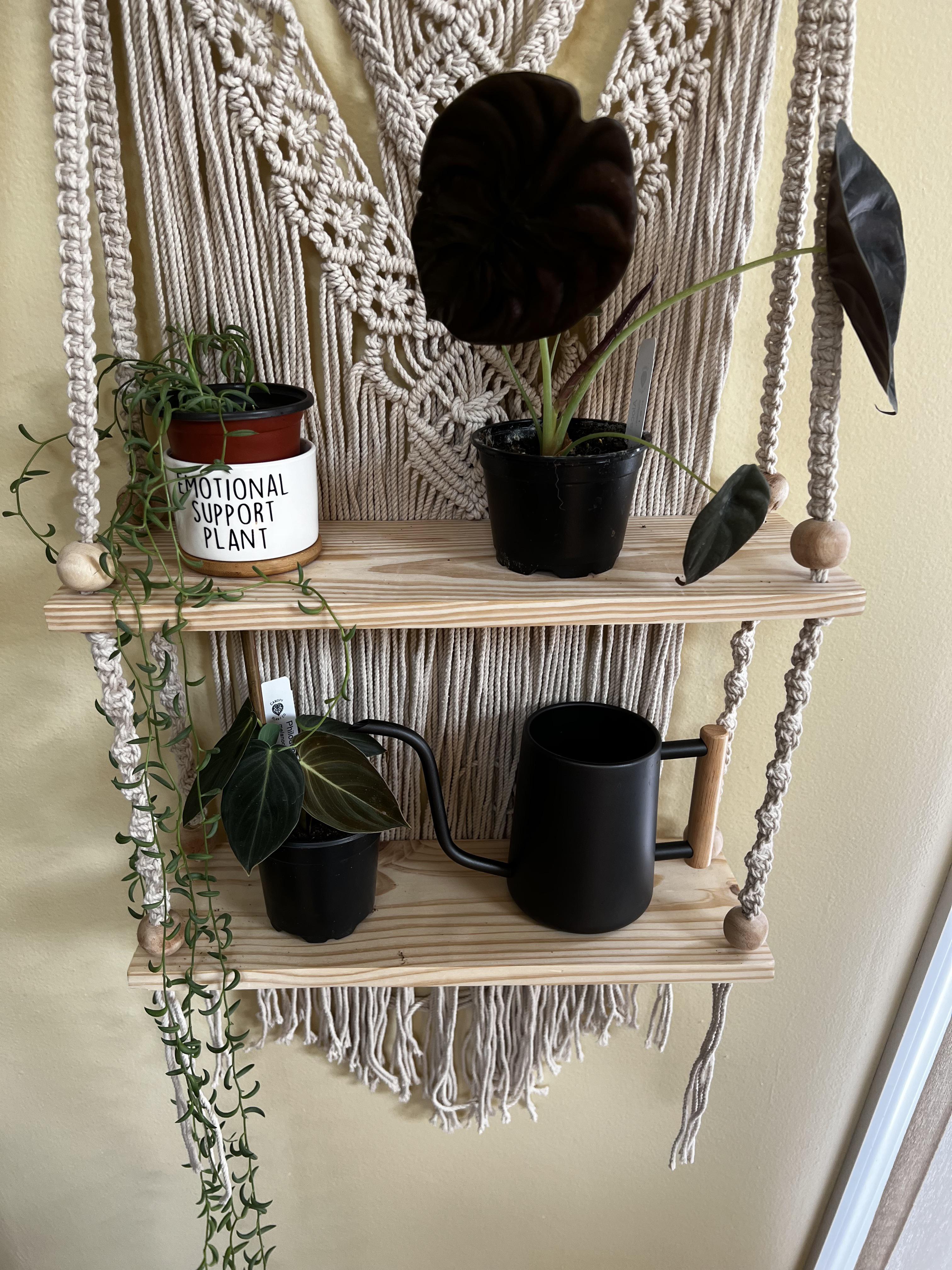 My shadow corner | Scrolller