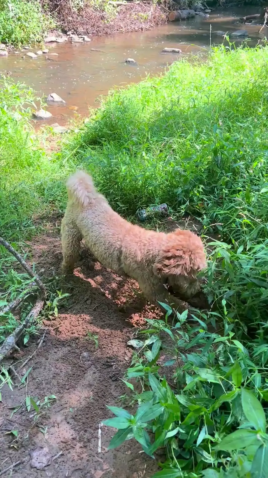 My son running around | Scrolller