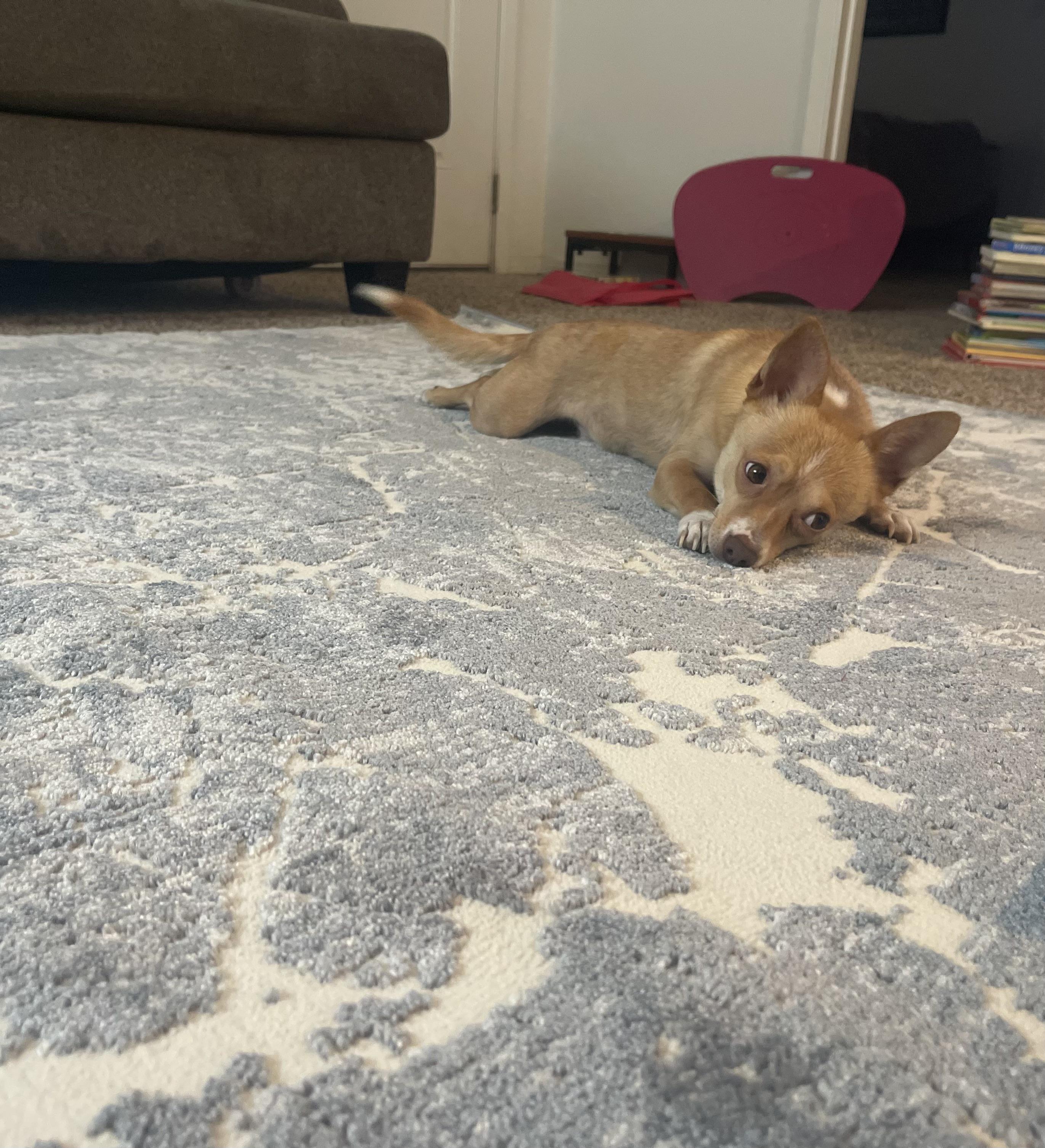 My Sweet Macho Man | Scrolller