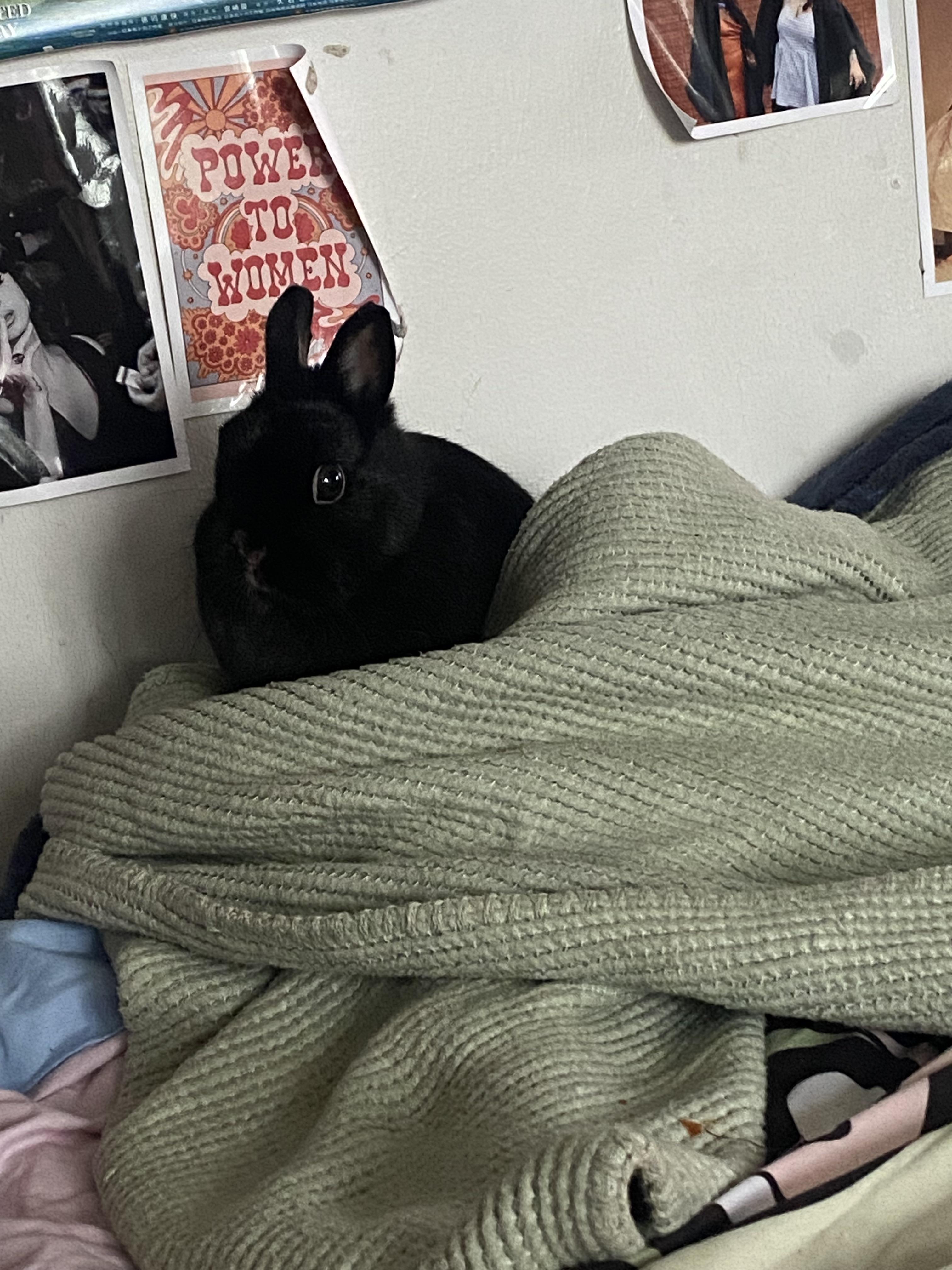 My void supports feminism | Scrolller