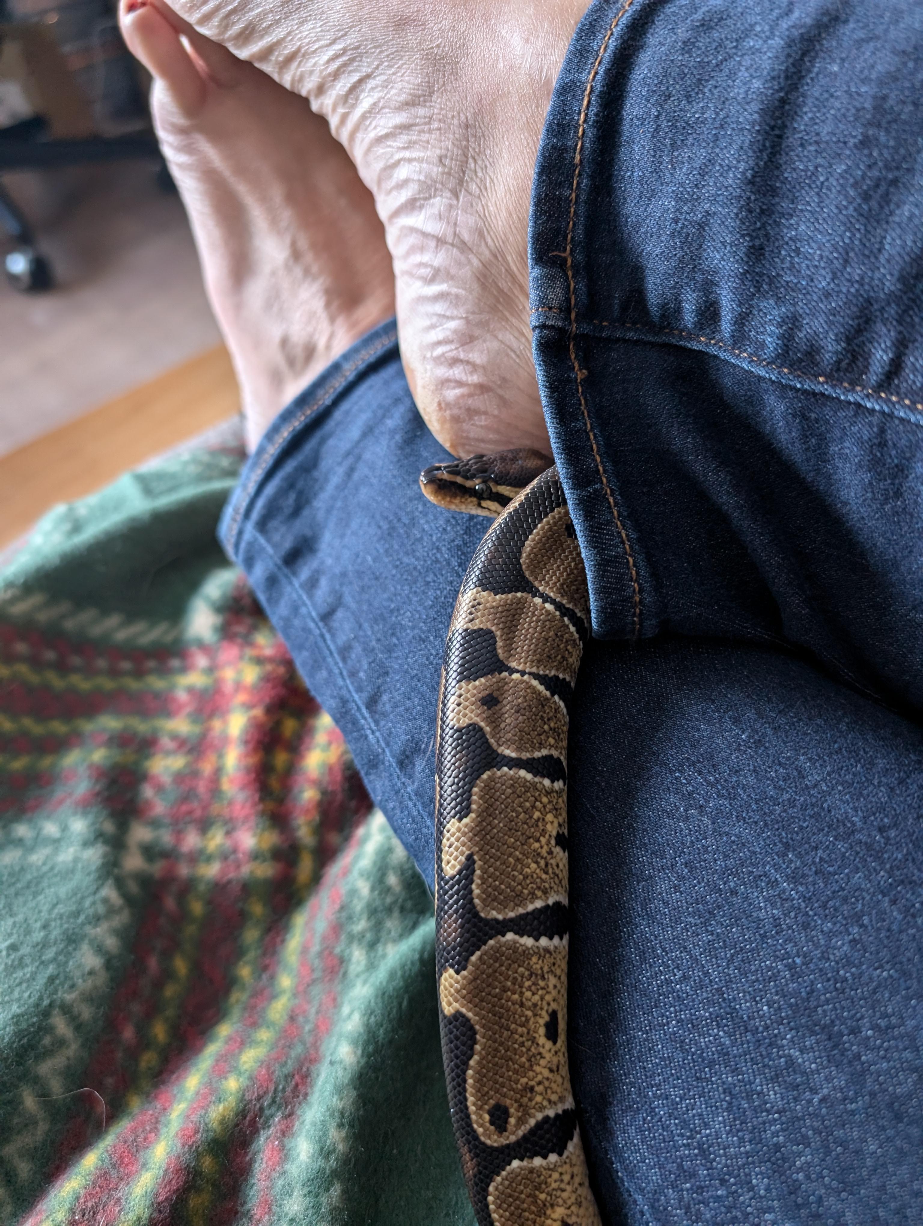 Today's episode of choice-based handling | Scrolller