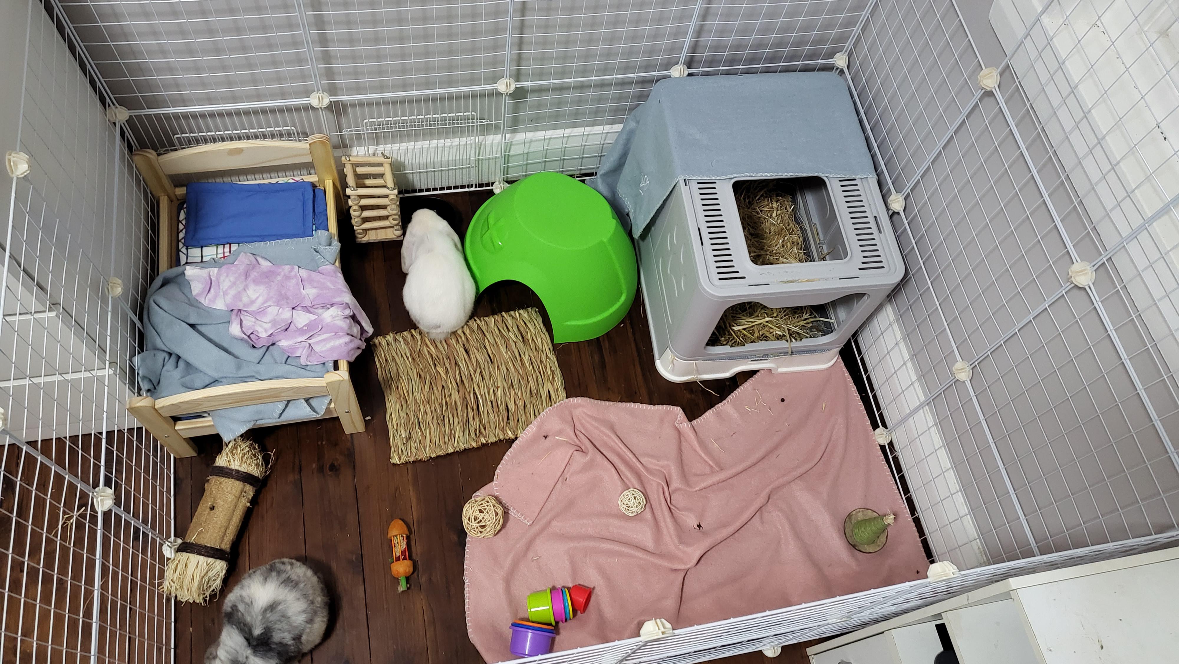 Home base! | Scrolller