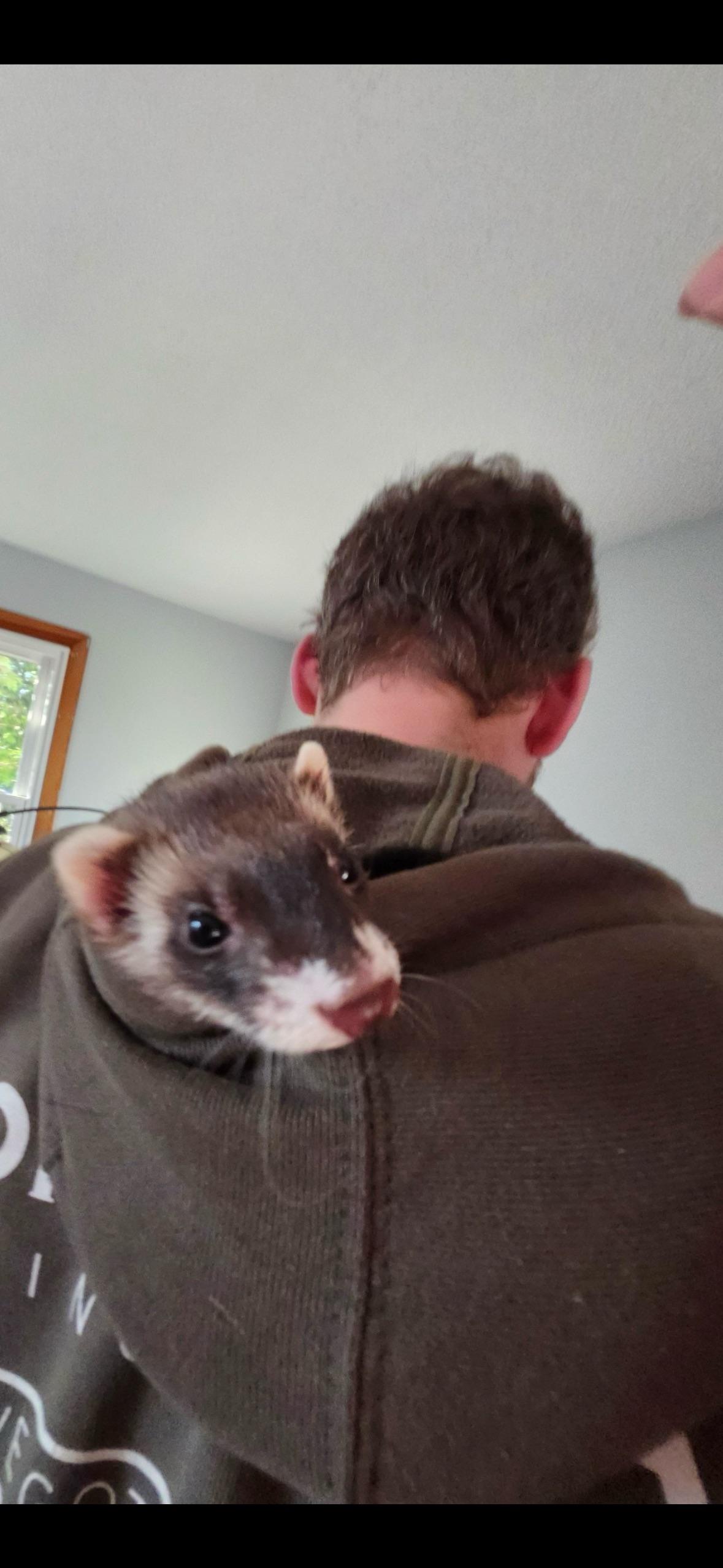 Meet noodle :) | Scrolller