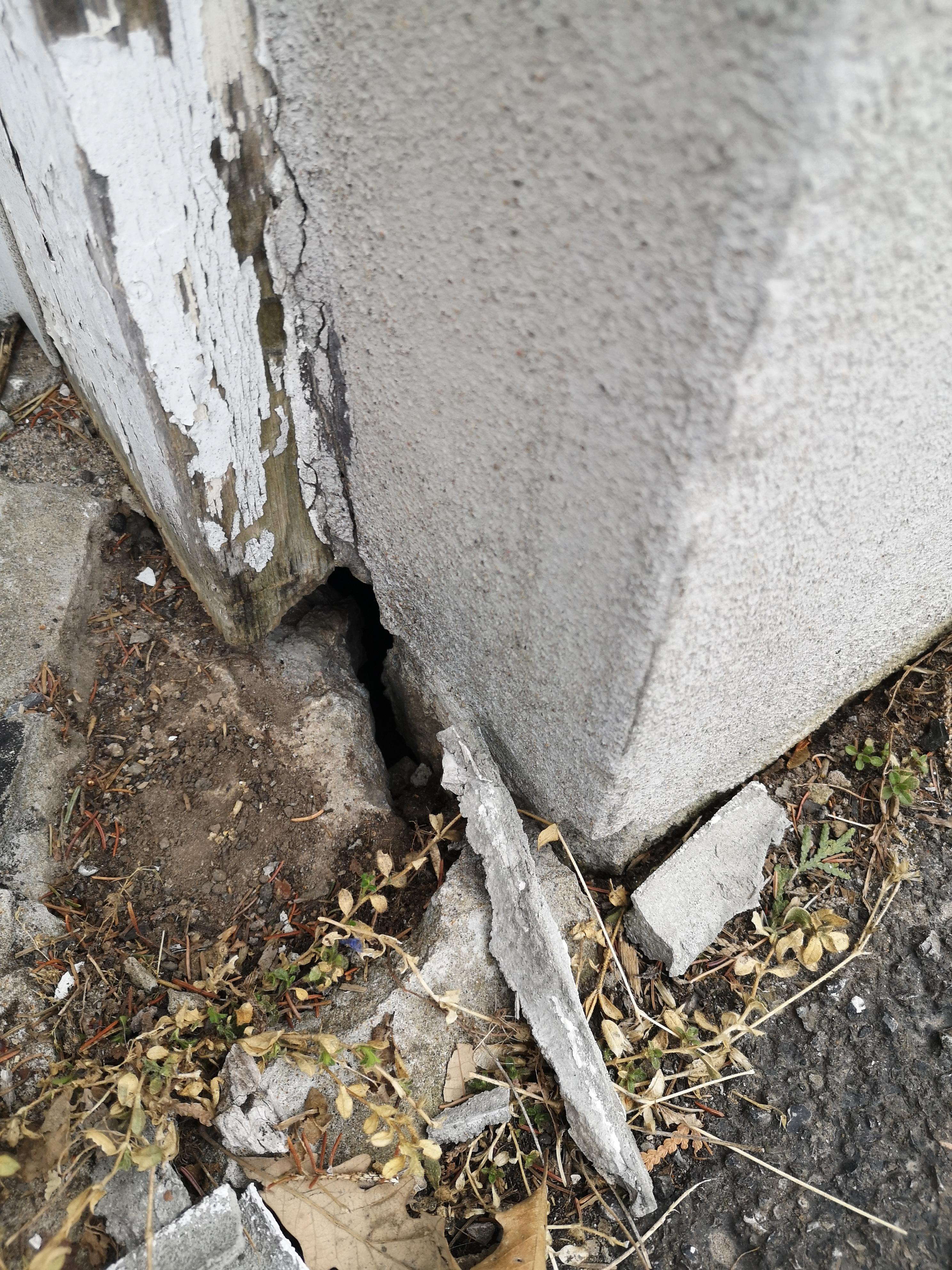 Can I DIY this foundation crack | Scrolller