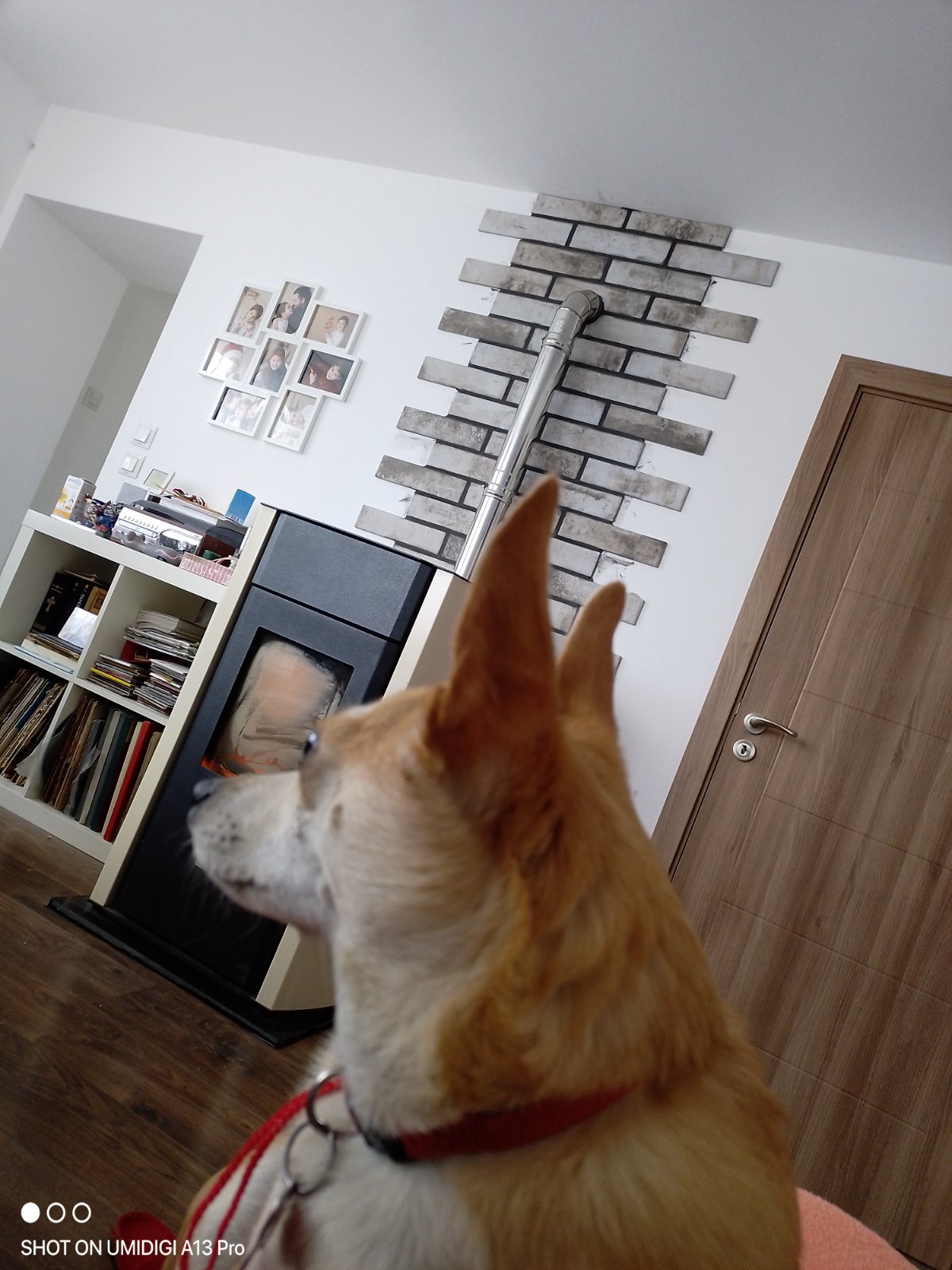 [OC] Rick | Scrolller