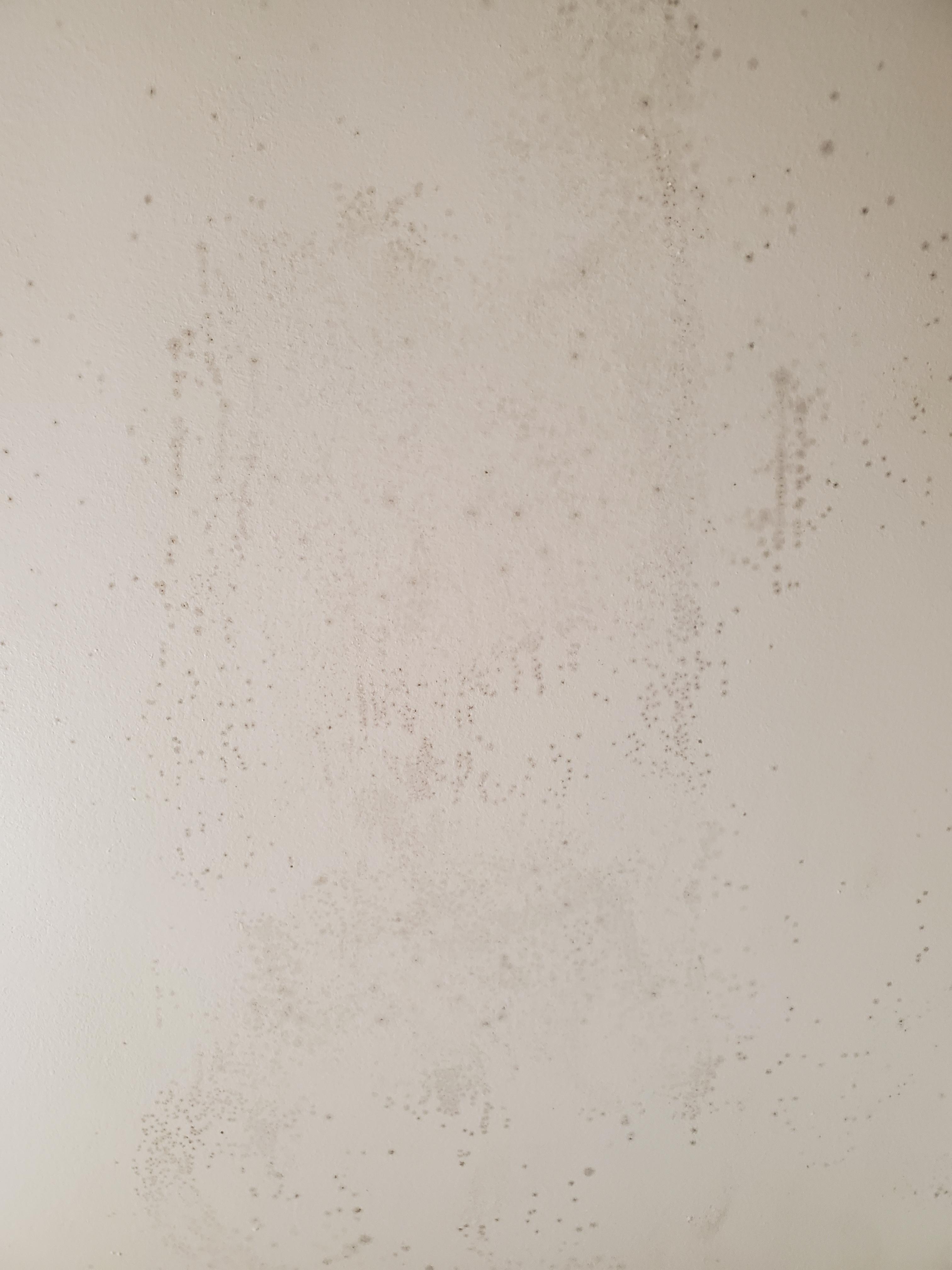 Is this a sign of black mold? | Scrolller