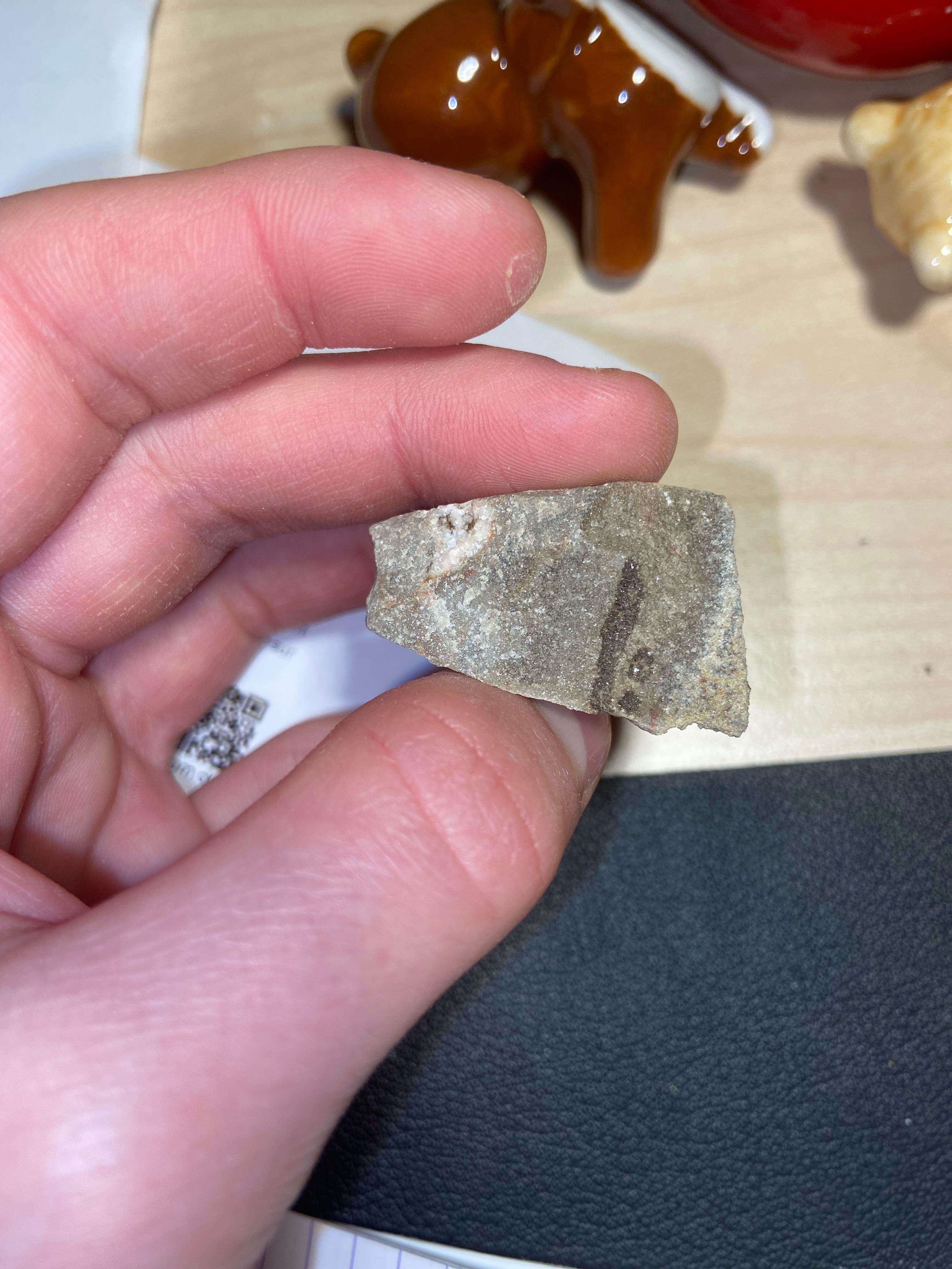 What is this Fossil | Scrolller