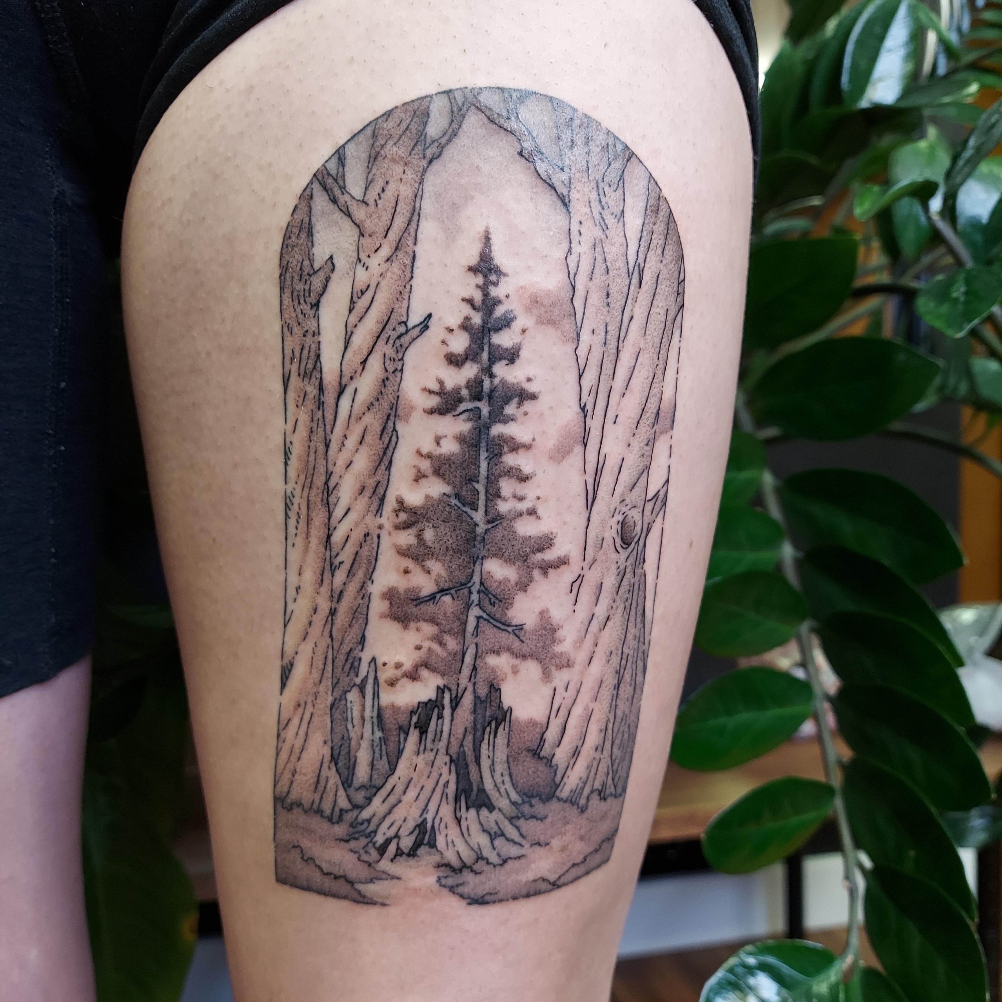 Some recent work | Scrolller