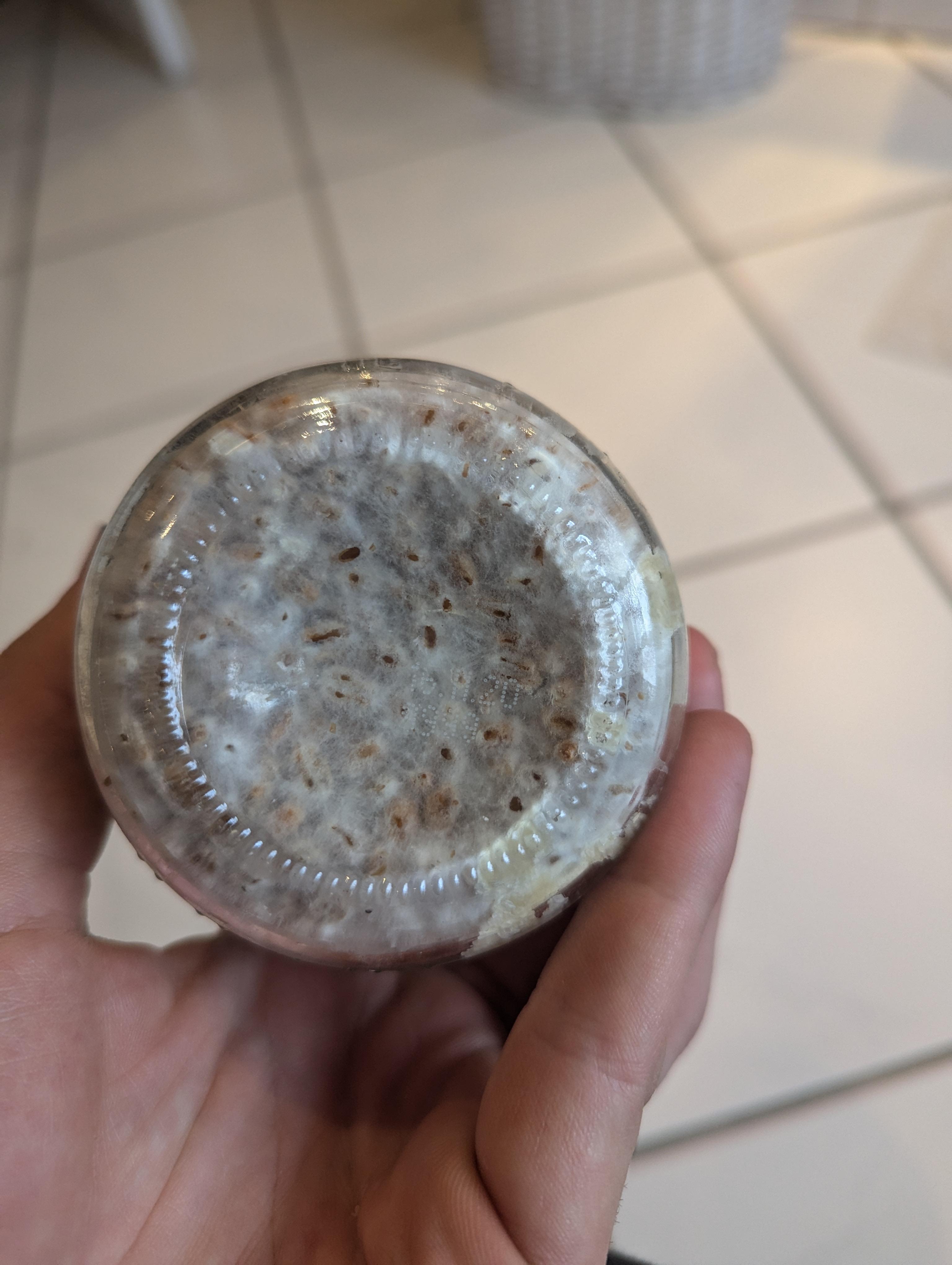 [technique] thoughts ? | Scrolller