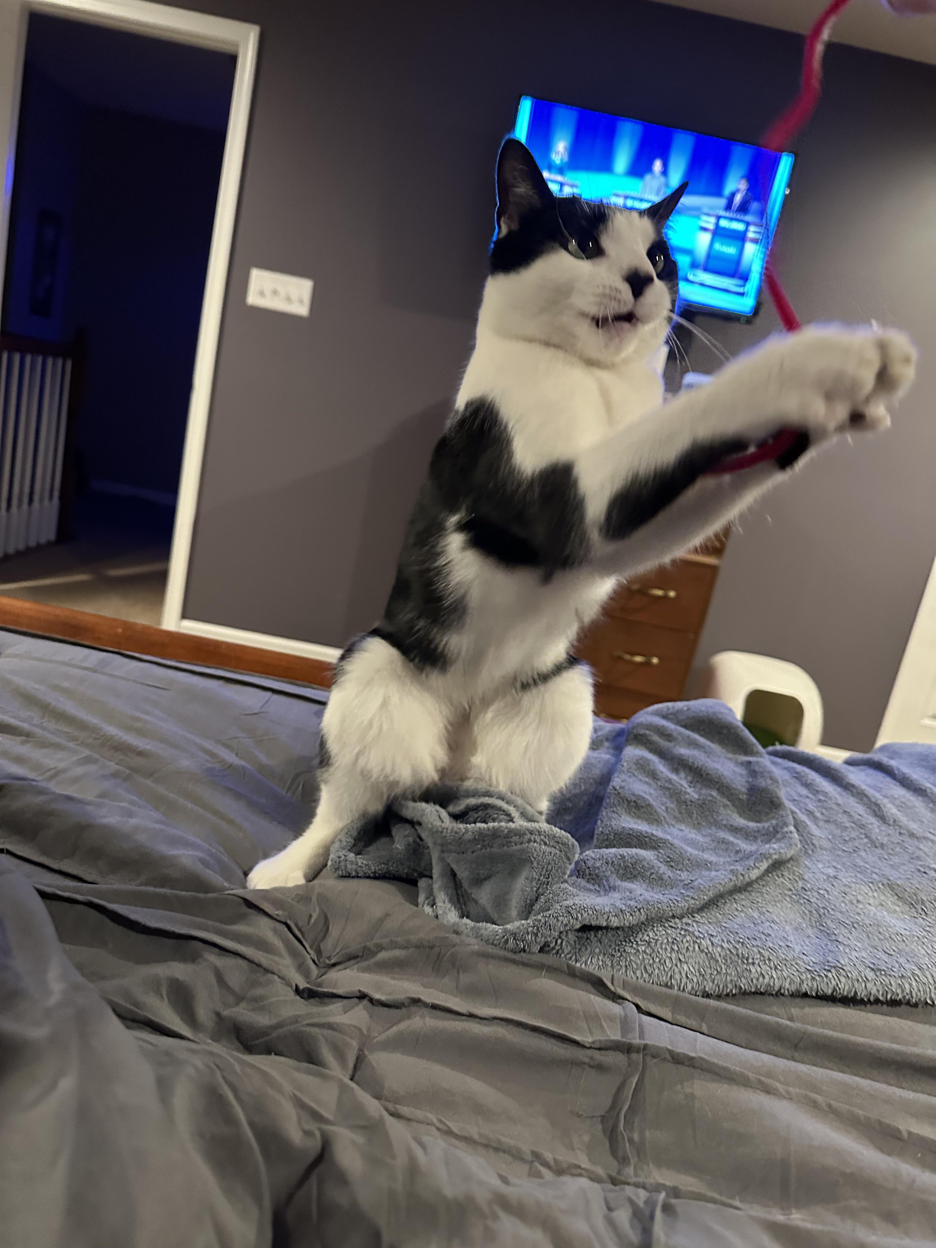 She loves pipe cleaners | Scrolller