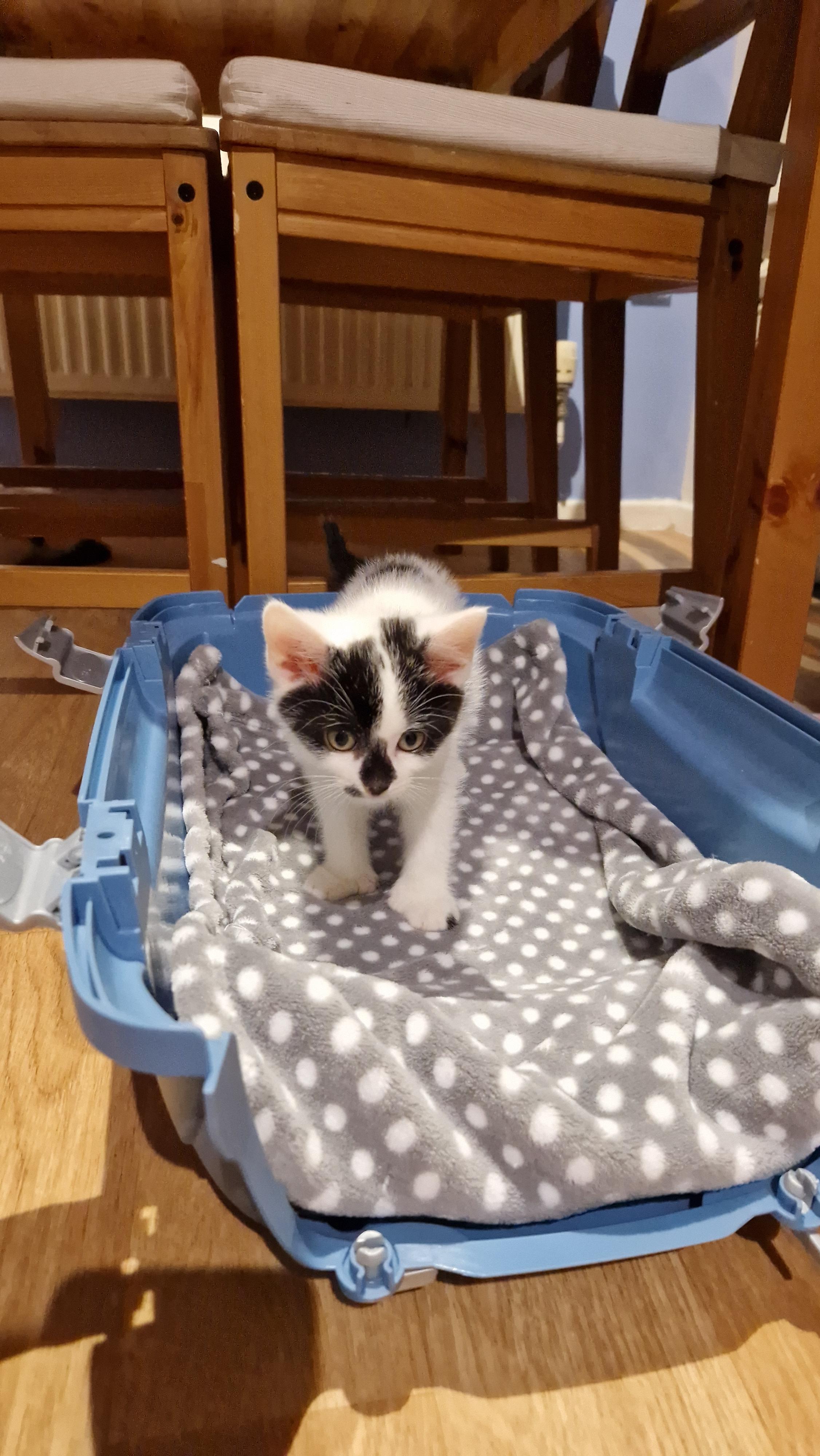 Pringle & Wotsit | Scrolller