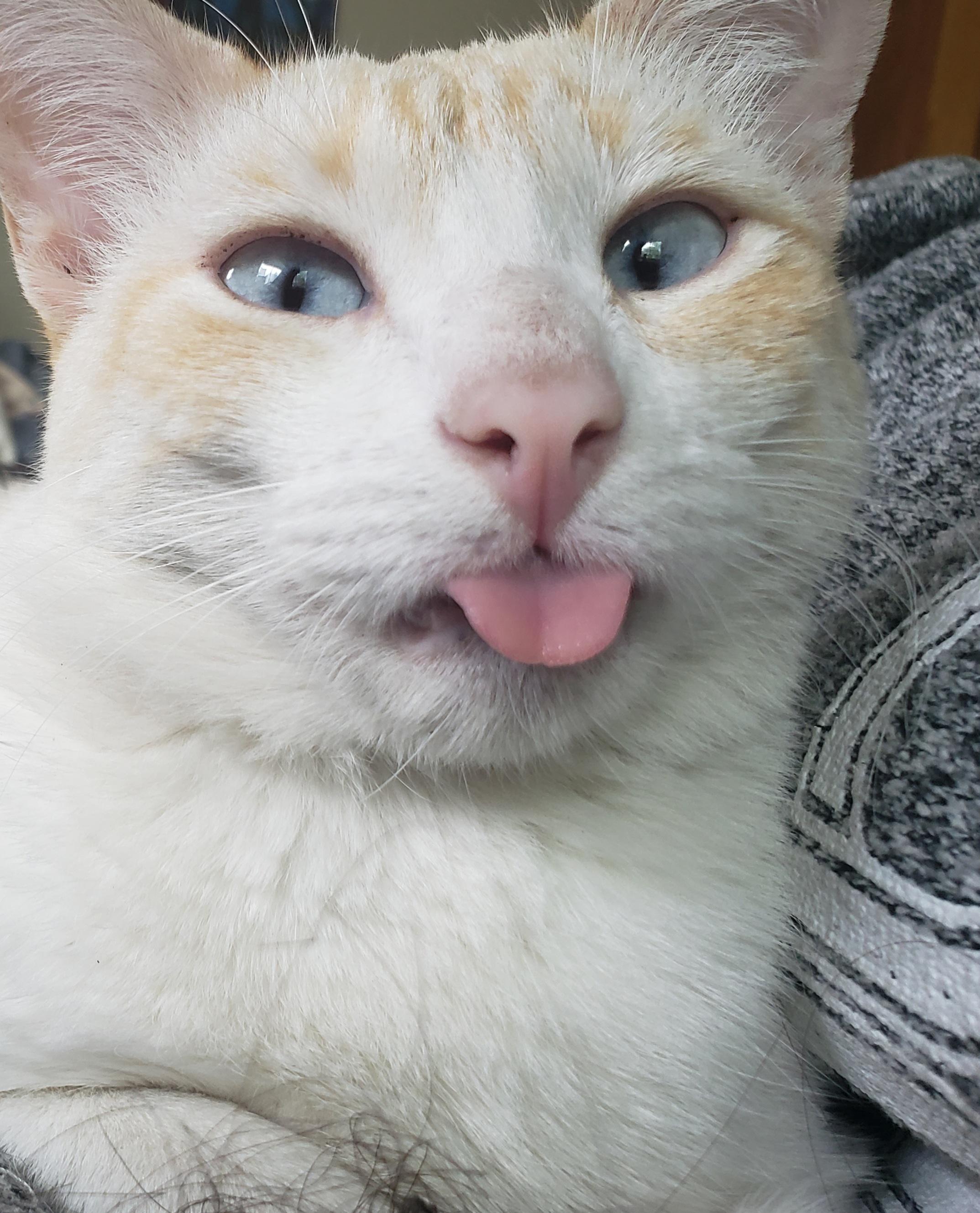 Little brat. | Scrolller