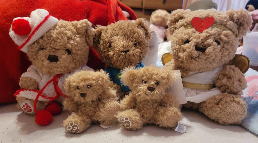 Meet the teddy family | Scrolller