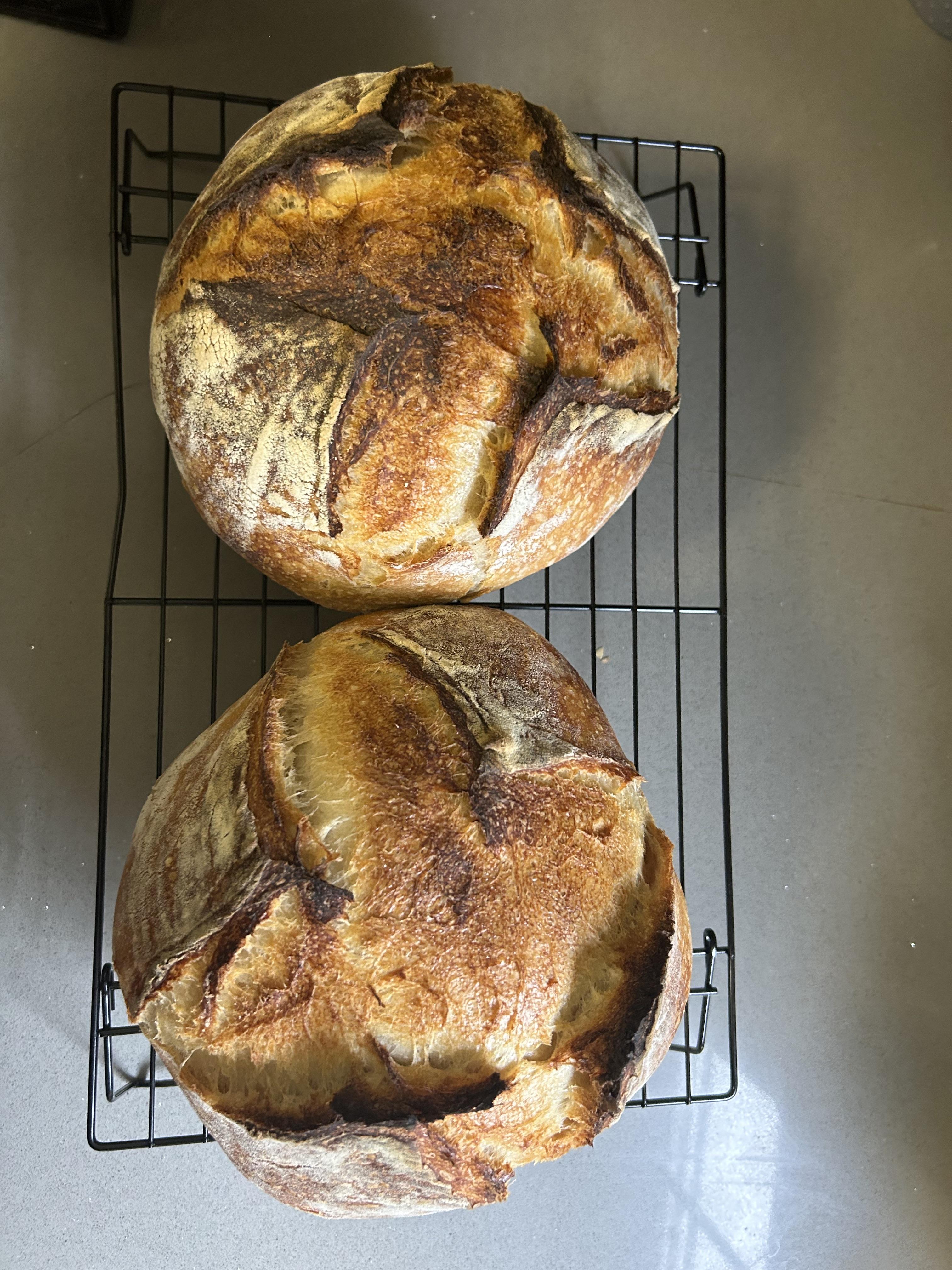 First Loaves | Scrolller