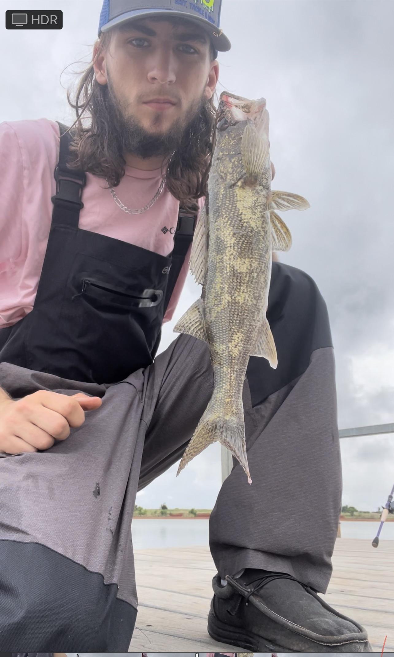 Oklahoma walleye and saugeye! | Scrolller