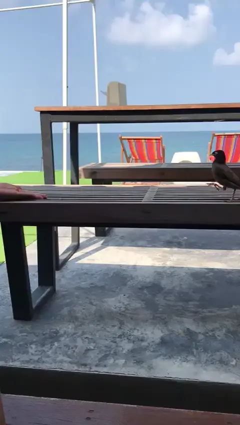 Discover more like Aww: Natural Magic and Related Content | Scrolller