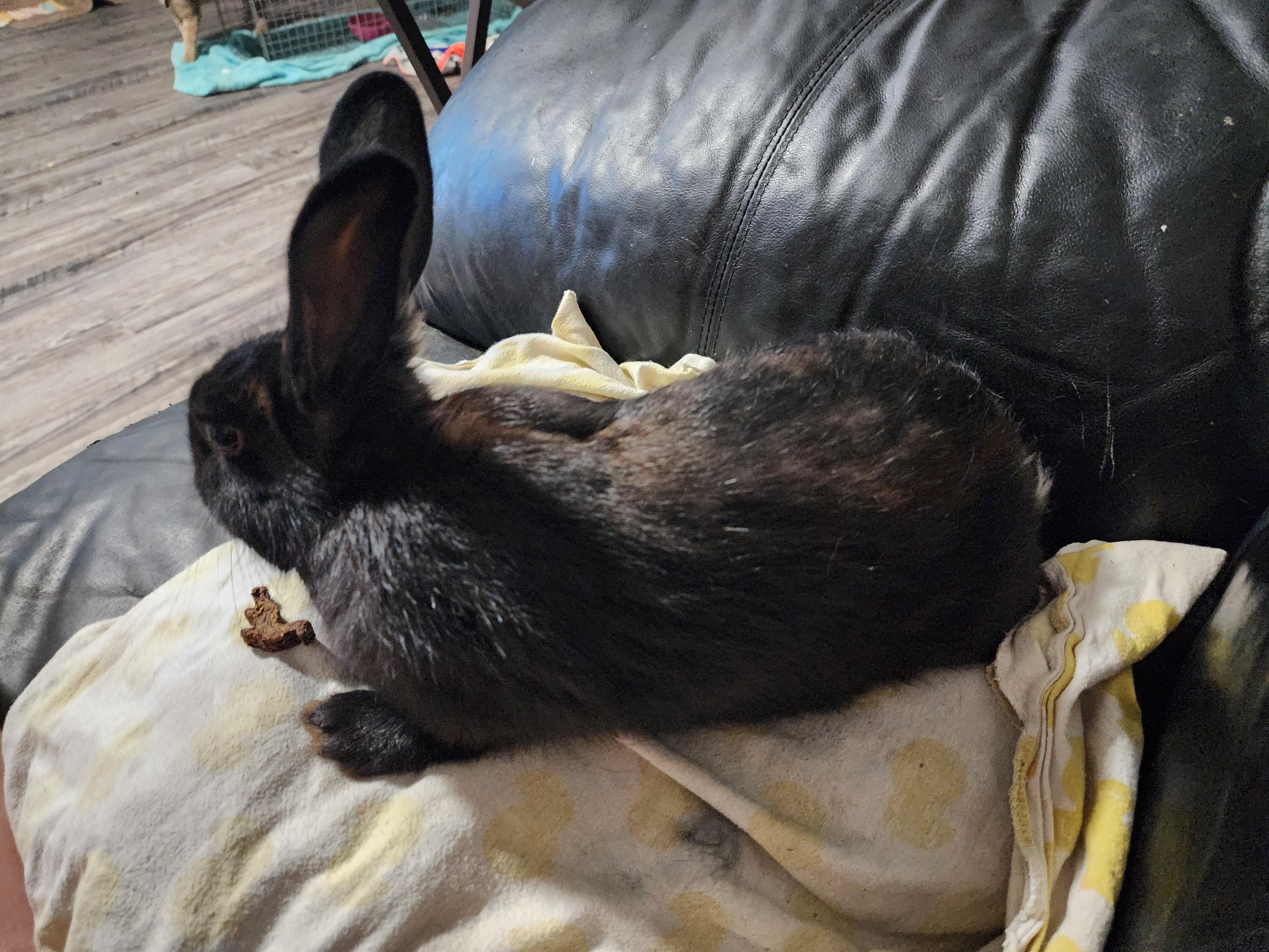 Wild Child | Scrolller