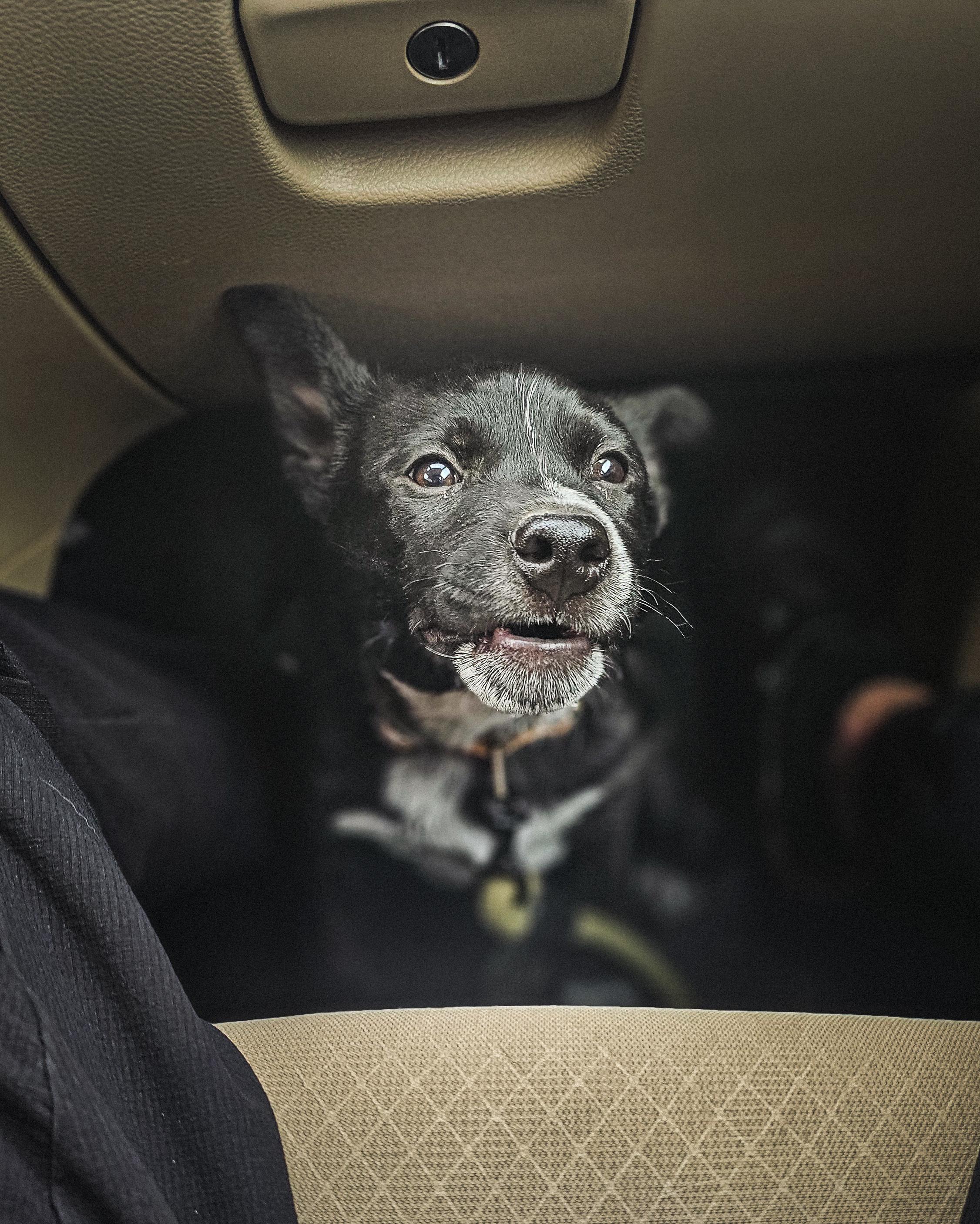 Marvin sweet vs. Marvin sour. | Scrolller