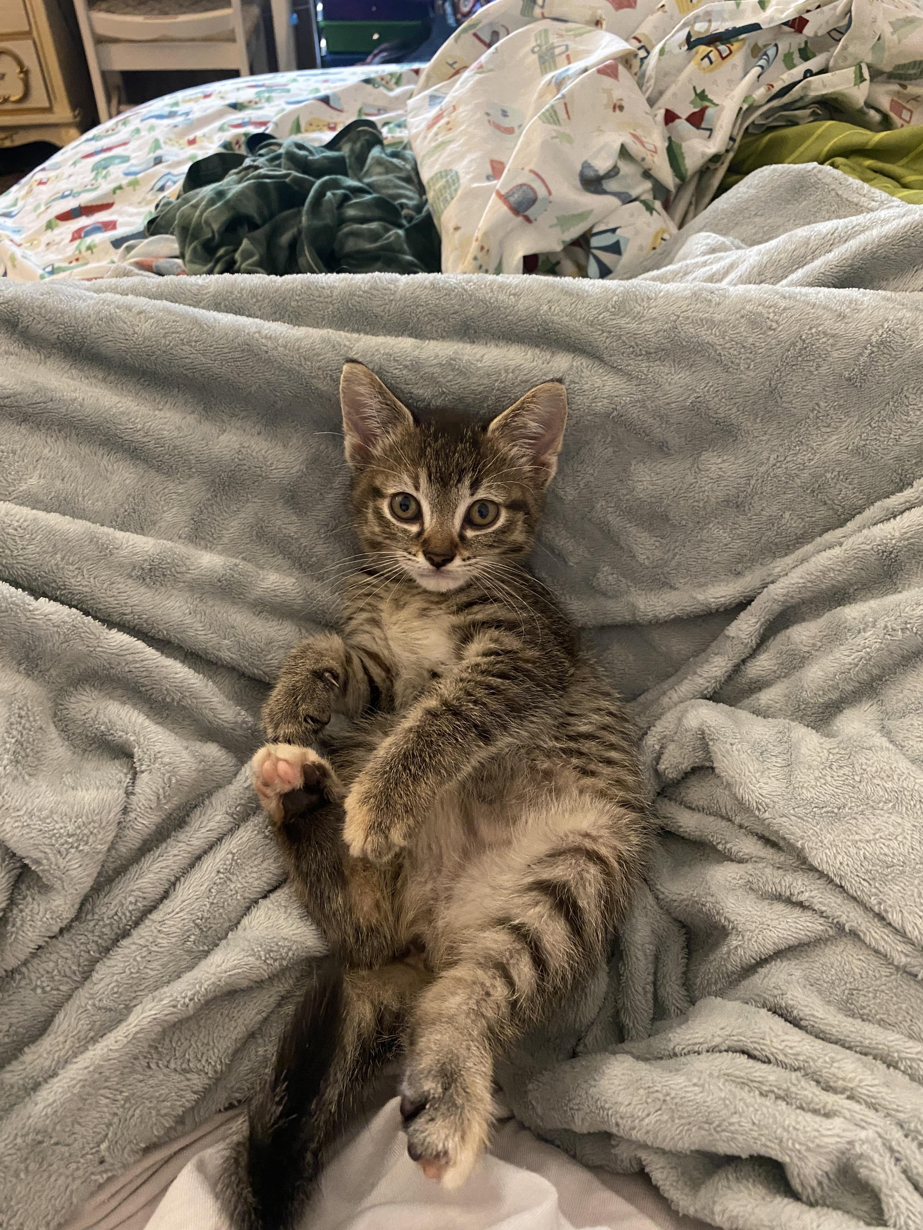 Shes so cutely | Scrolller