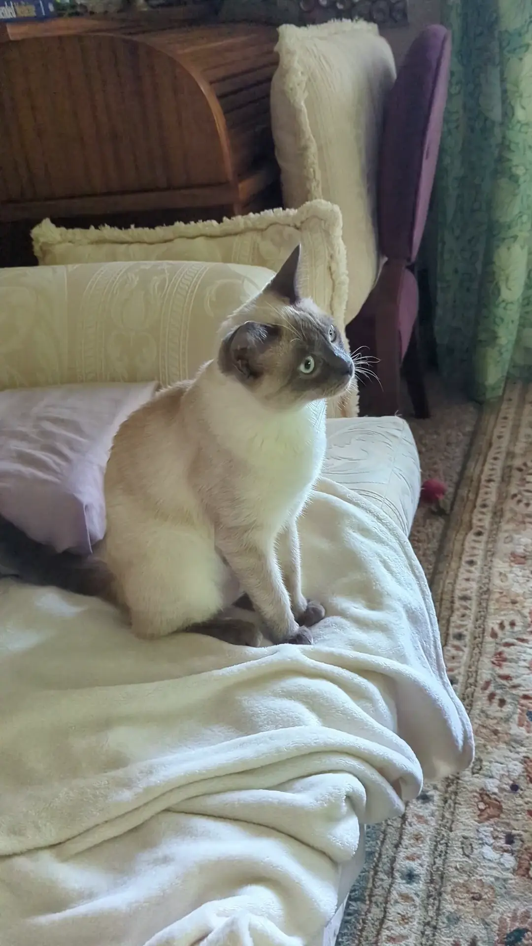 Never seen his brother on TV | Scrolller