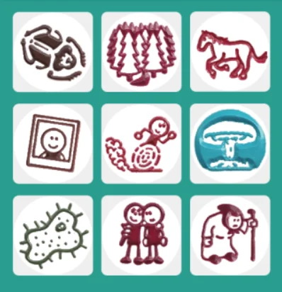 New daily roll #210 | Scrolller