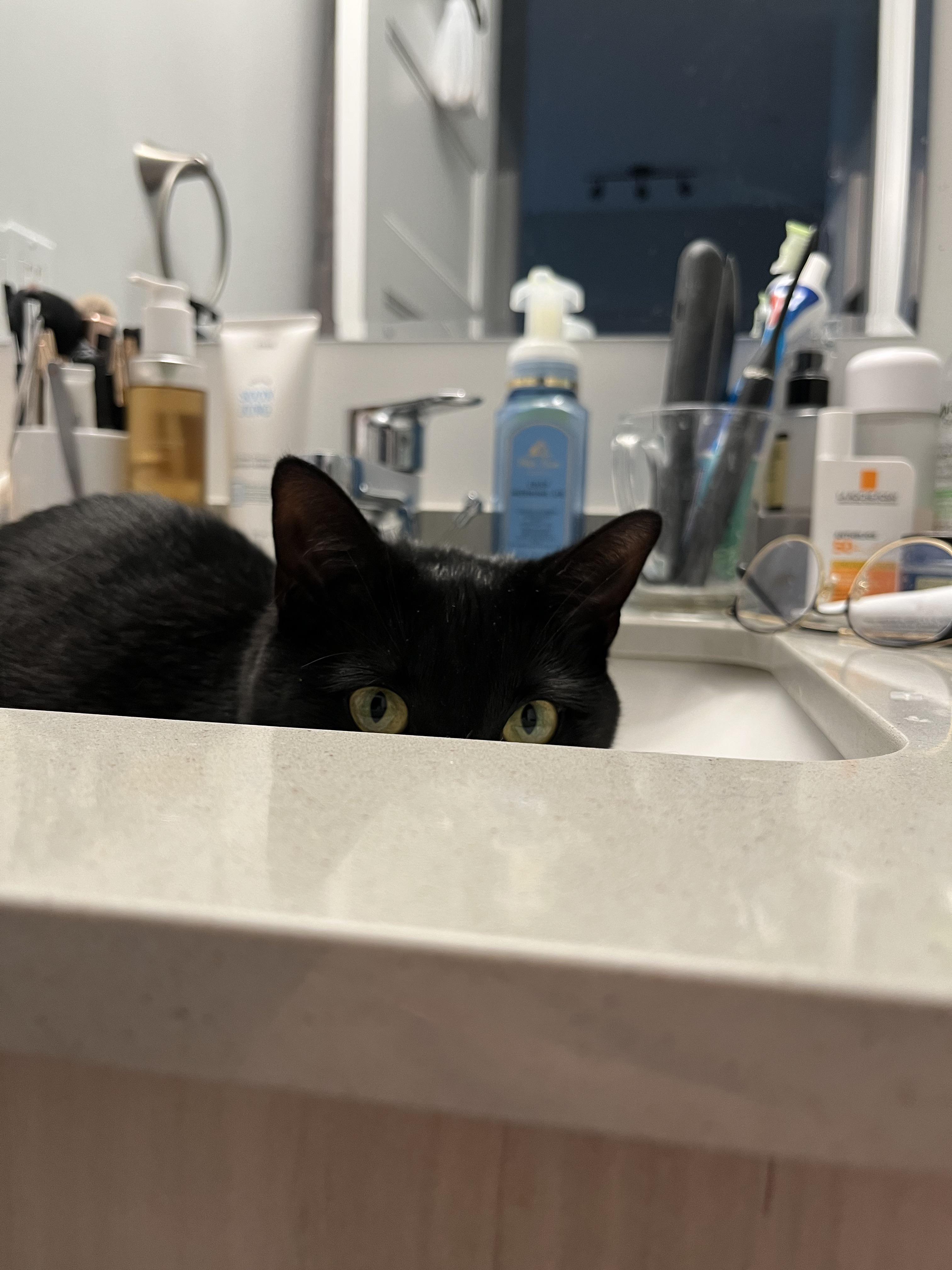 New home exploration | Scrolller