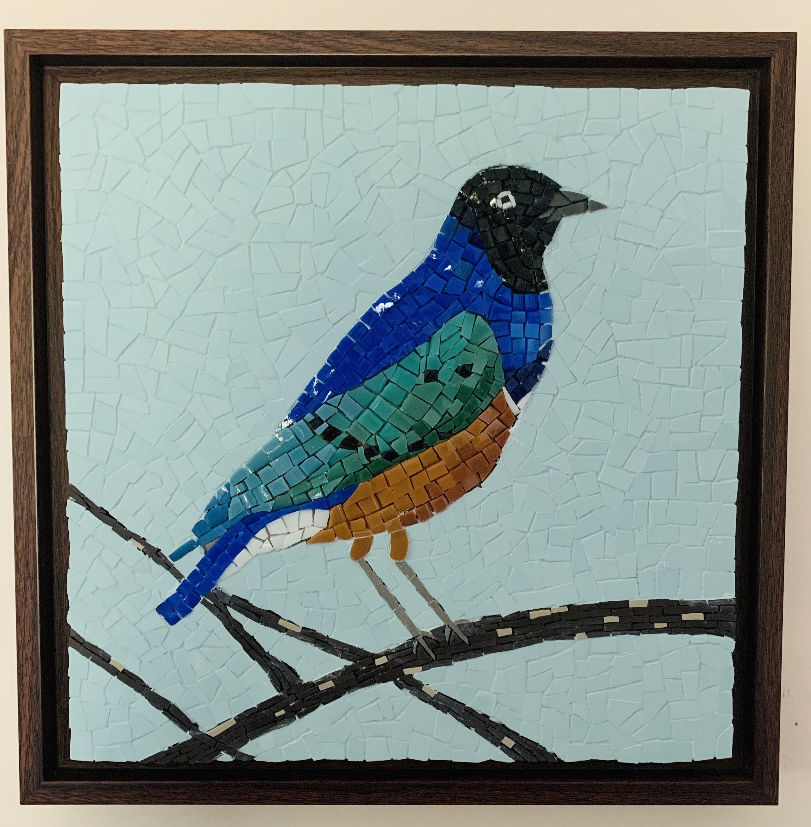 New project completed | Scrolller