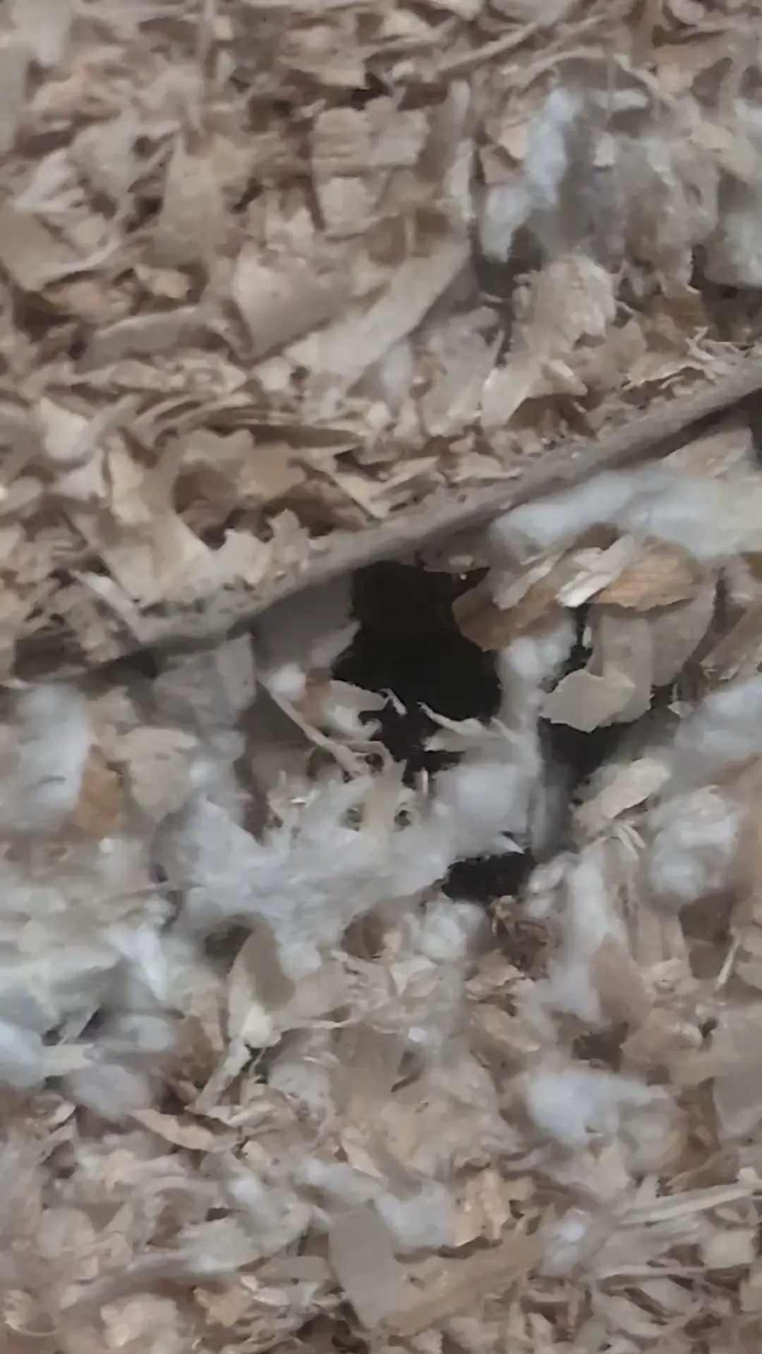 New set-up :) | Scrolller