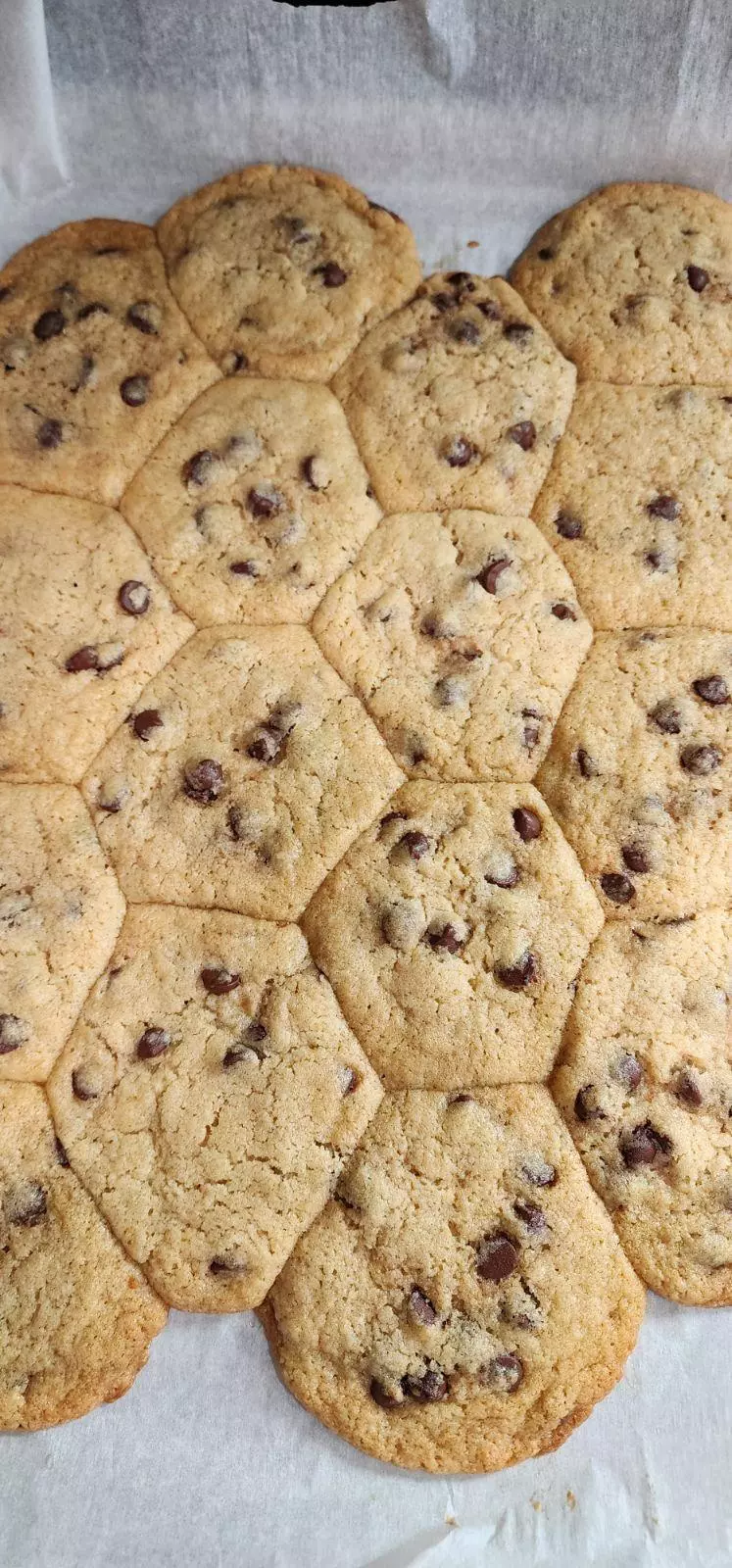 THE HEXAGONS | Scrolller