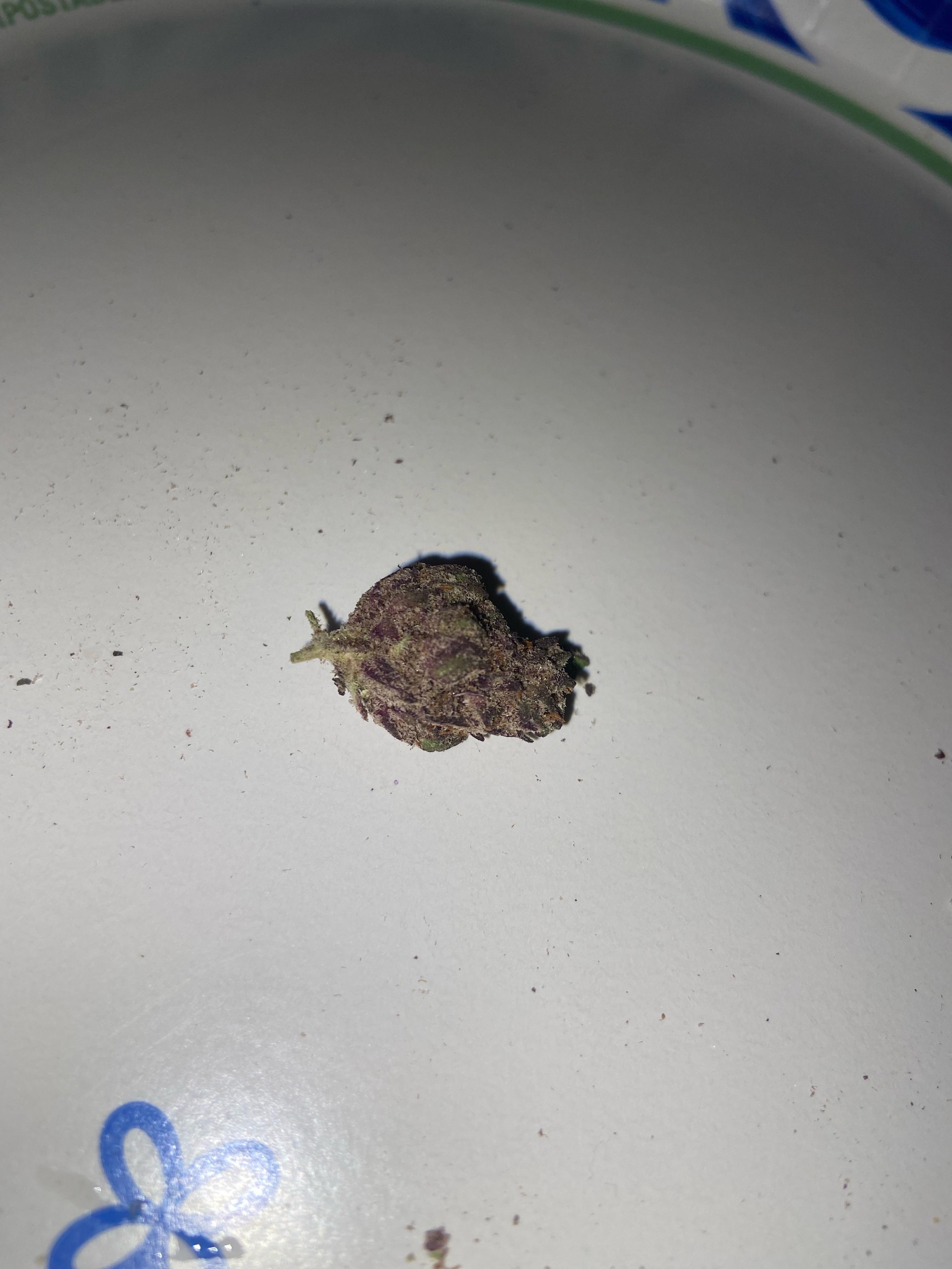 Is this moldy? | Scrolller