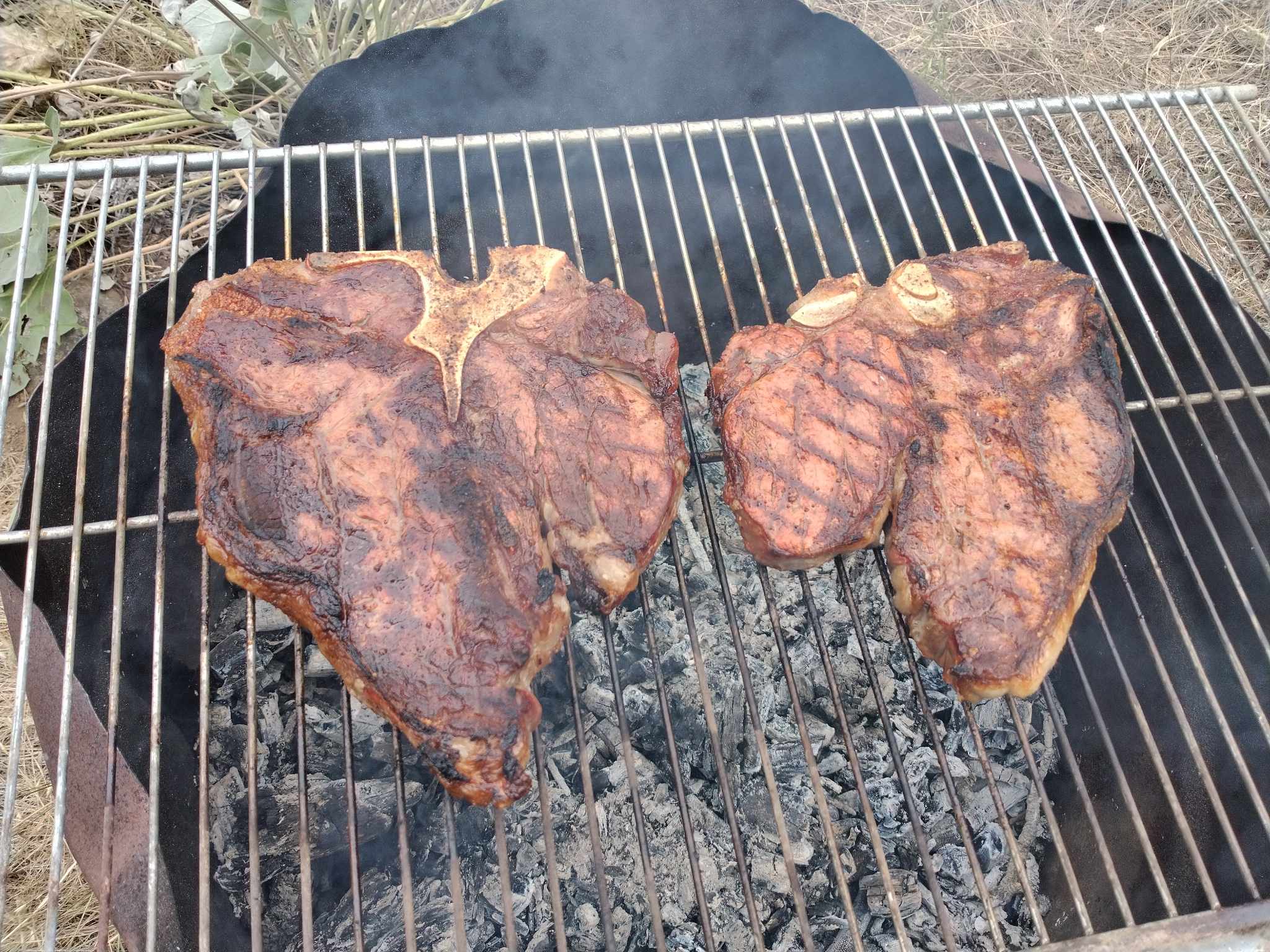 Discover more like Grilling: Porter house on wood heat and Related Content | Scrolller