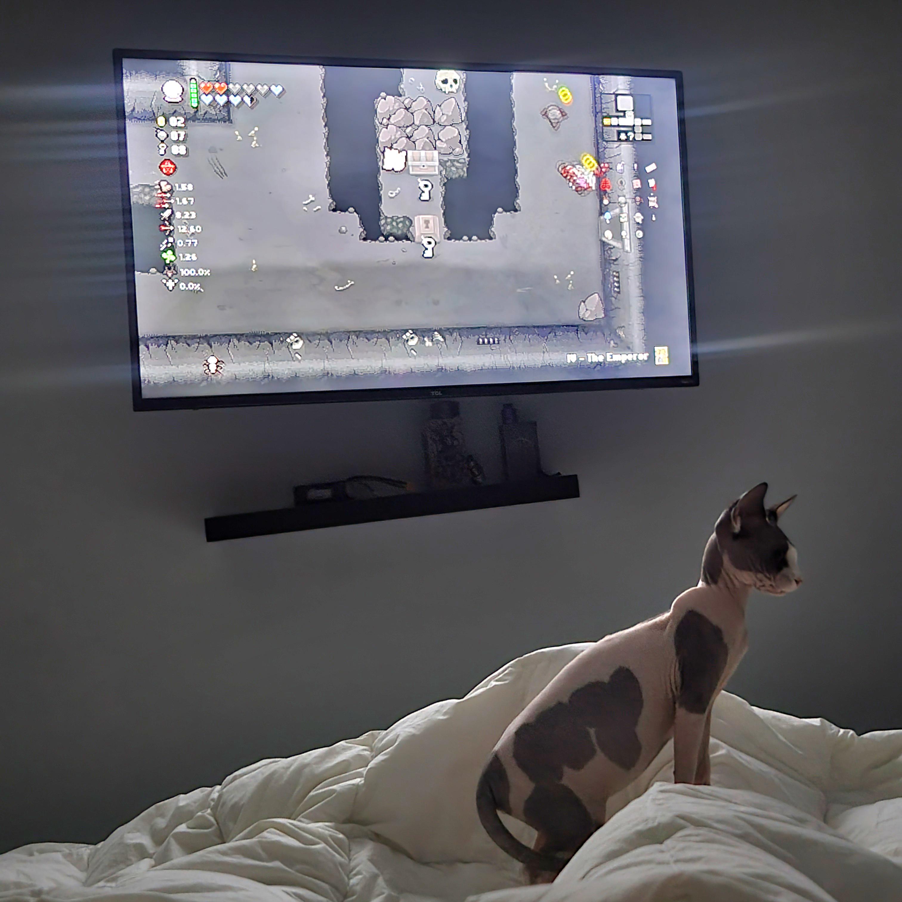 Nightly routine with my skinfant | Scrolller