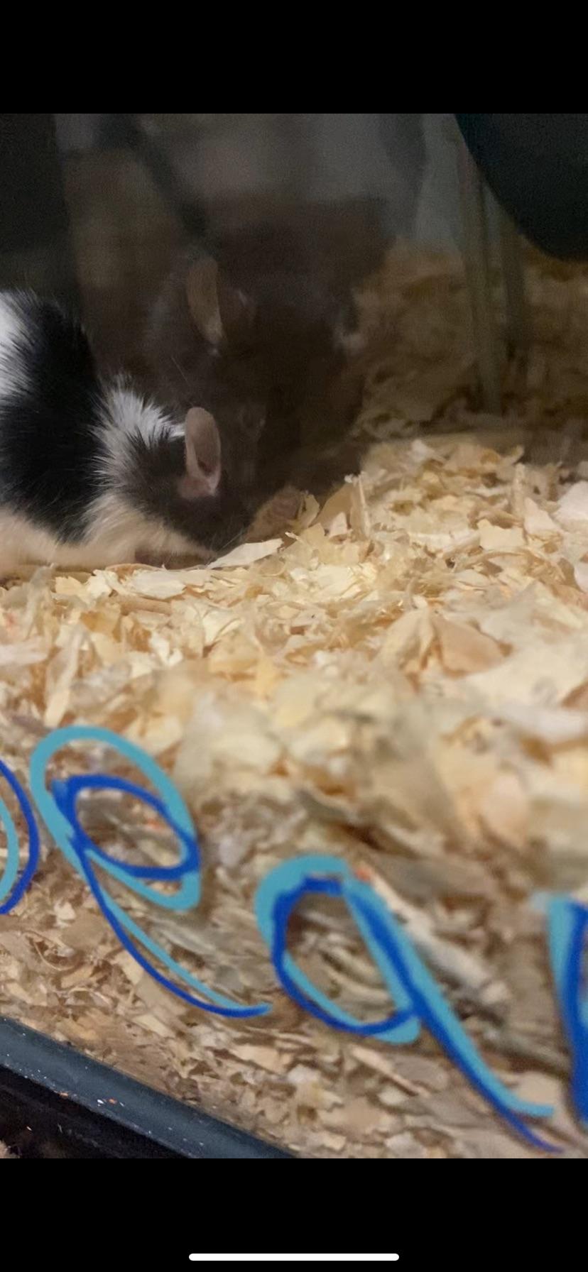 Little miss grumpy | Scrolller