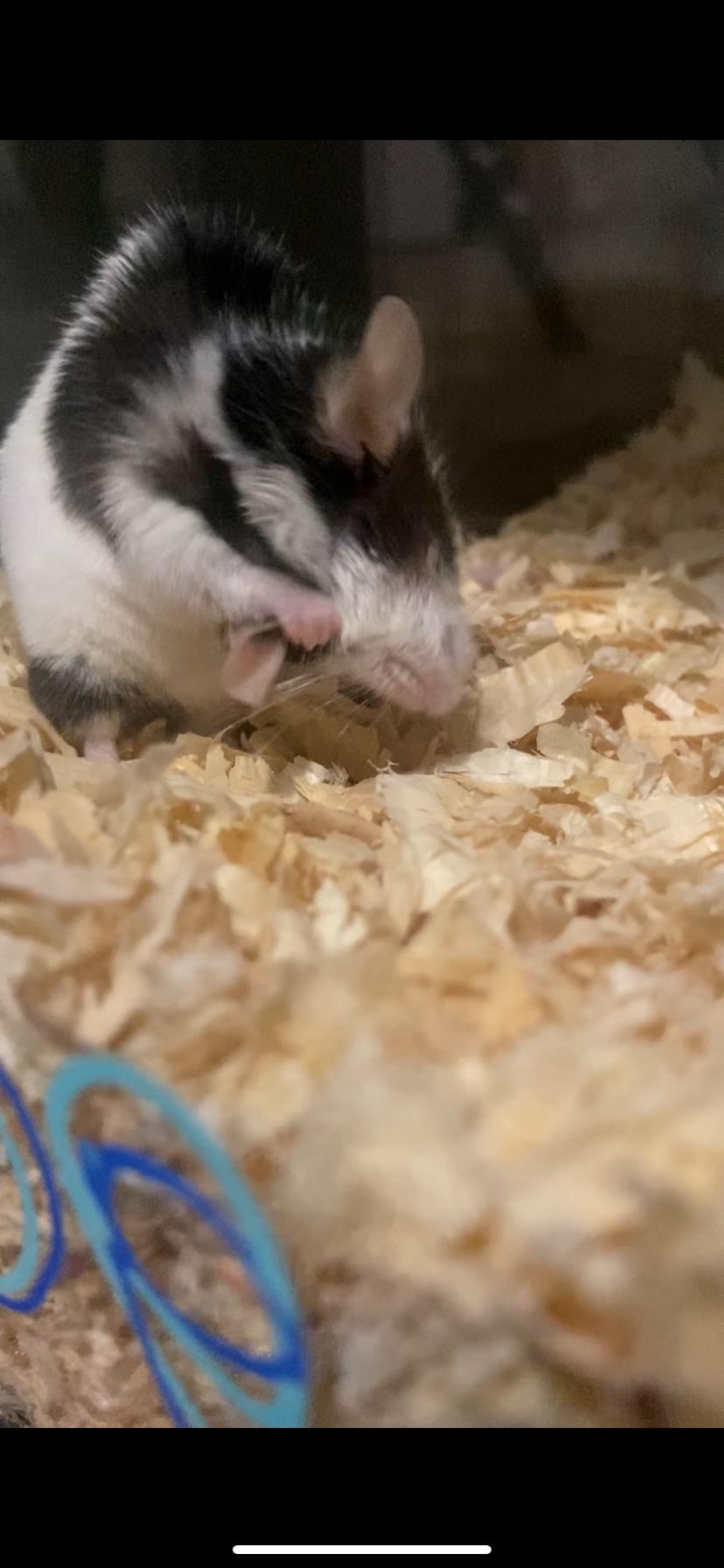 Little miss grumpy | Scrolller