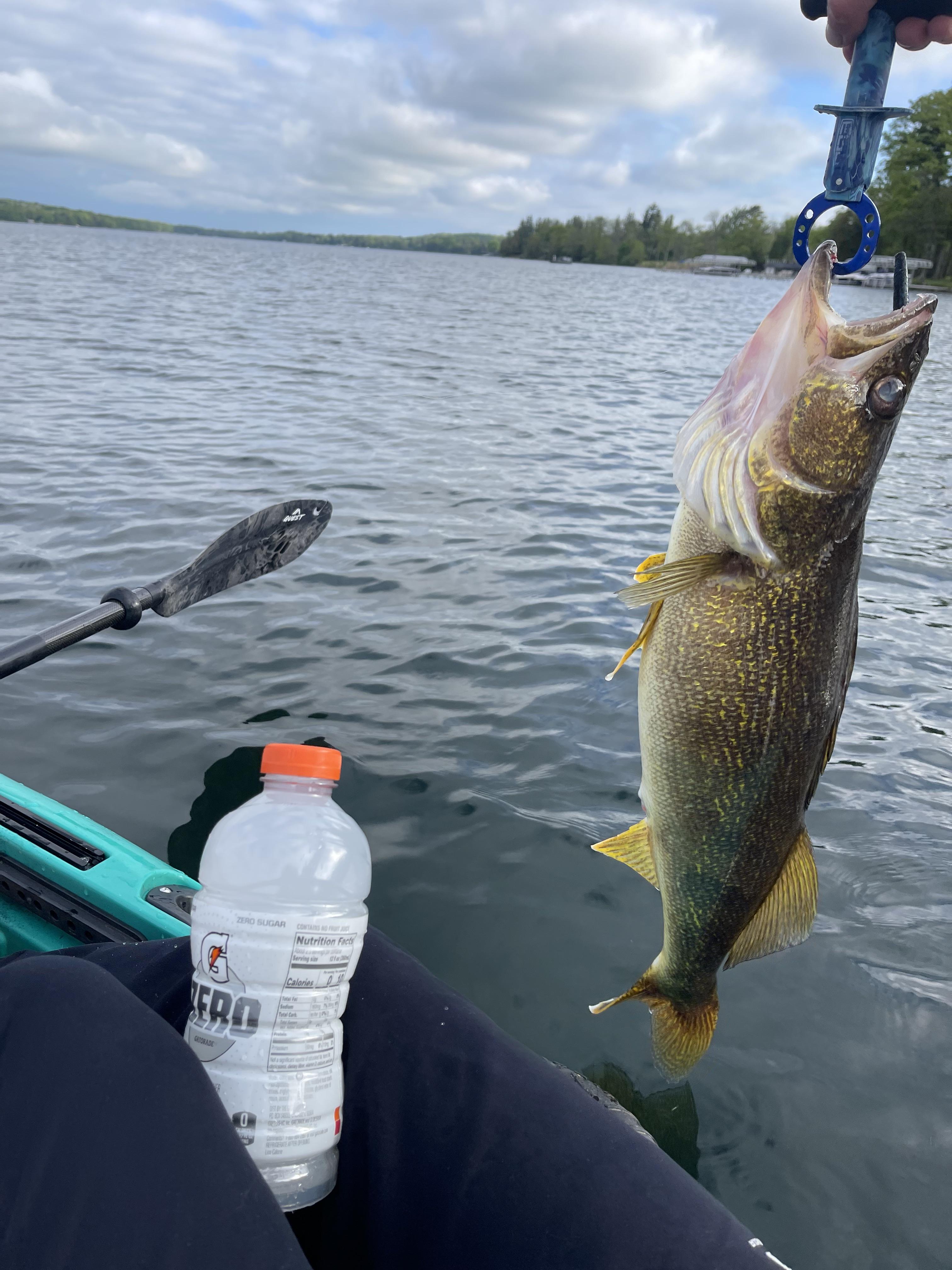 Big for Upstate NY? | Scrolller