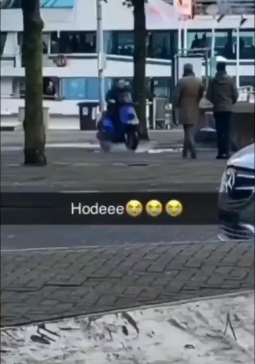 No look pass | Scrolller