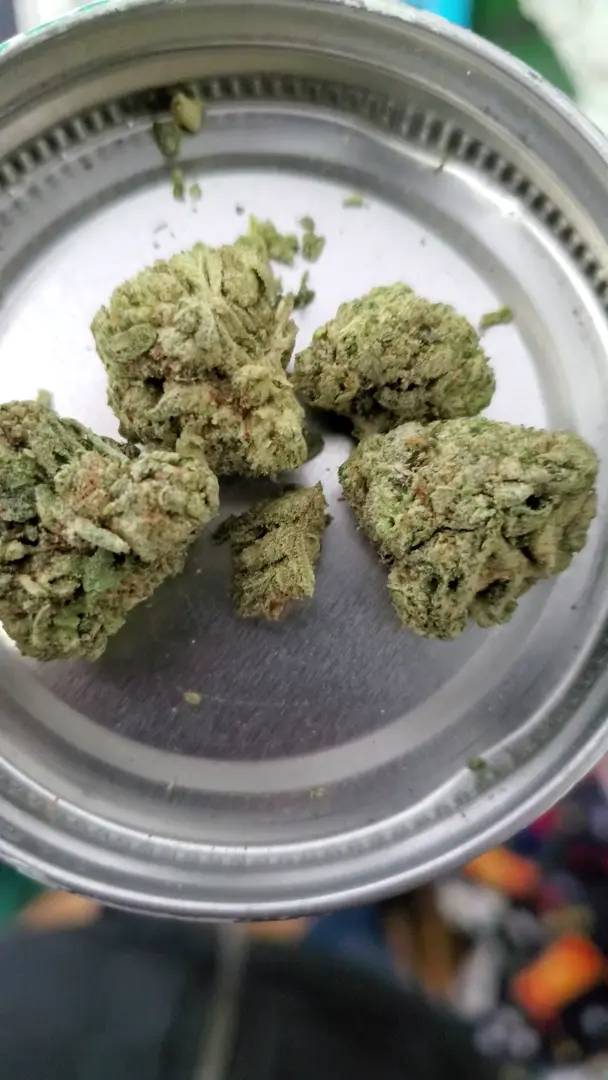 No Name But It Bang | Scrolller