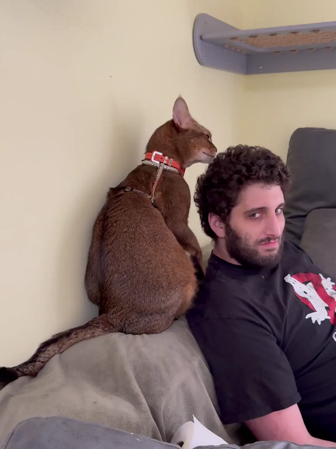 No Tissue…No Problem | Scrolller