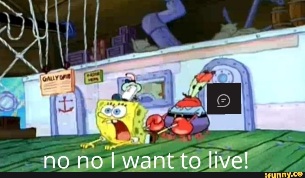 This photo reminds me so much of that scene from Spongebob😂 | Scrolller