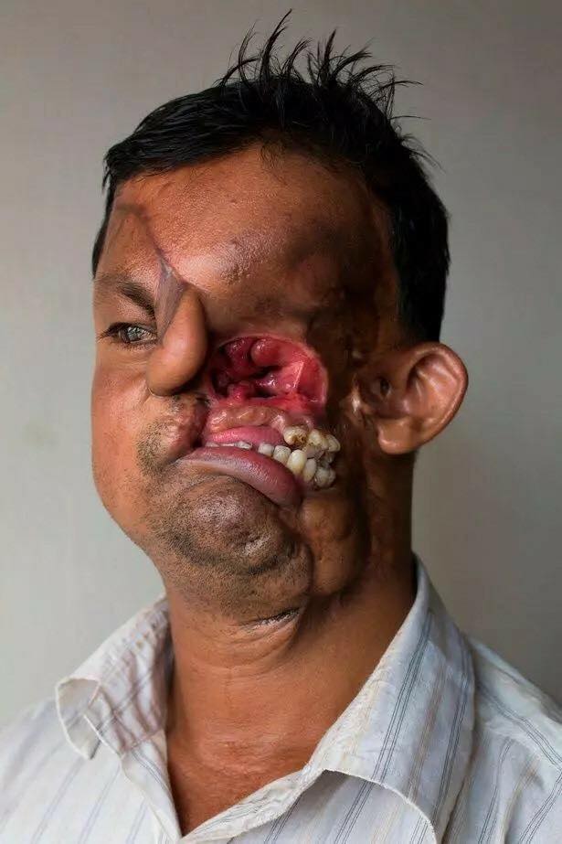 Non-fatal tiger paw strike | Scrolller