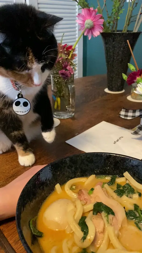 Noodle taps | Scrolller